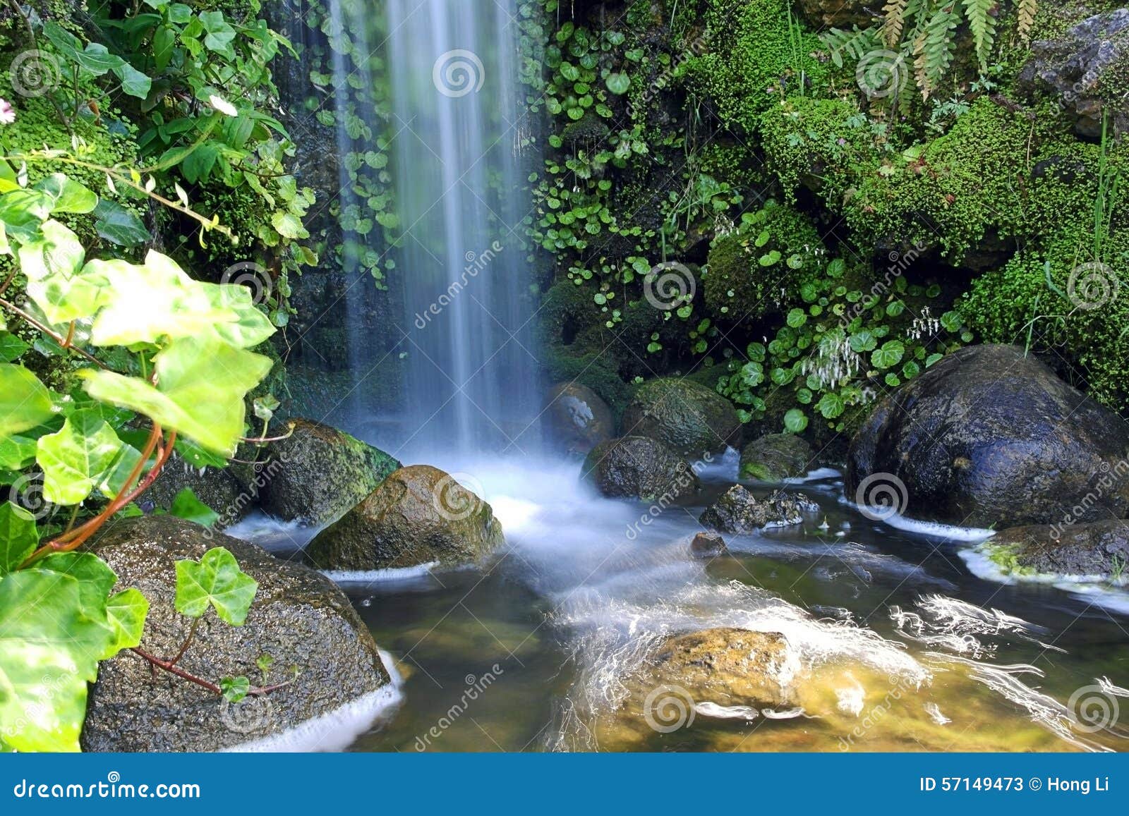Small Waterfall in the Forest Stock Image - Image of montreal, clarity ...