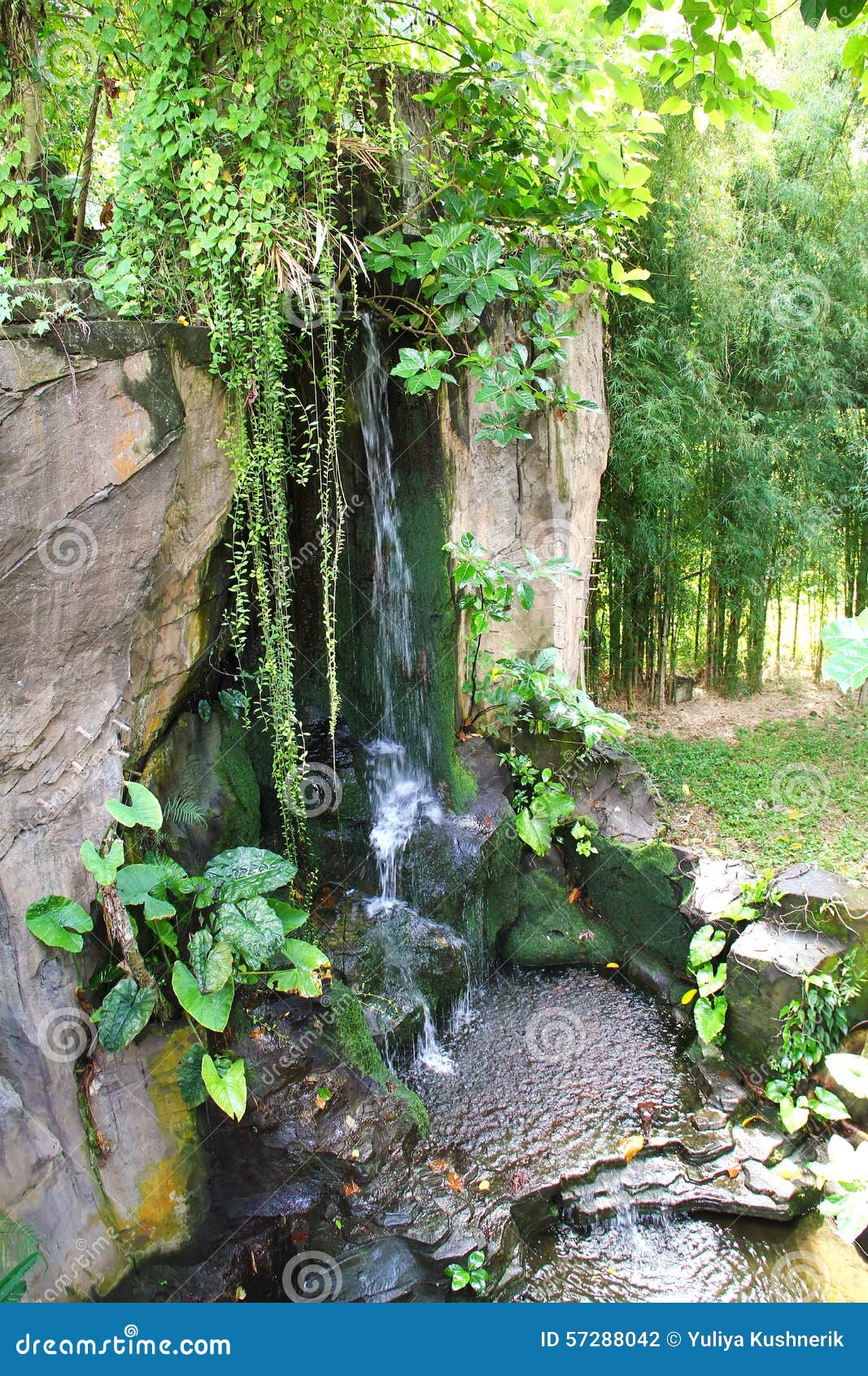 Small Waterfall in the Forest Stock Photo - Image of flowing, rock ...
