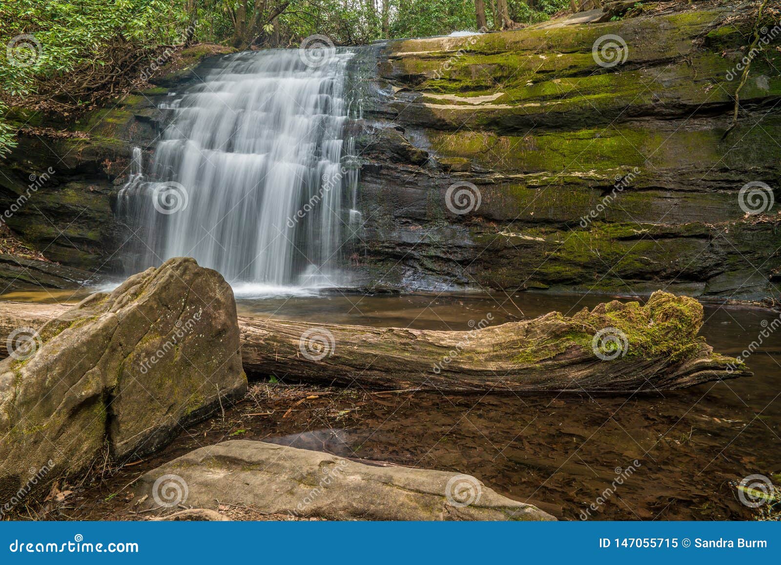 Small Waterfall in a Forest Stock Image - Image of scenic, rocks: 147055715