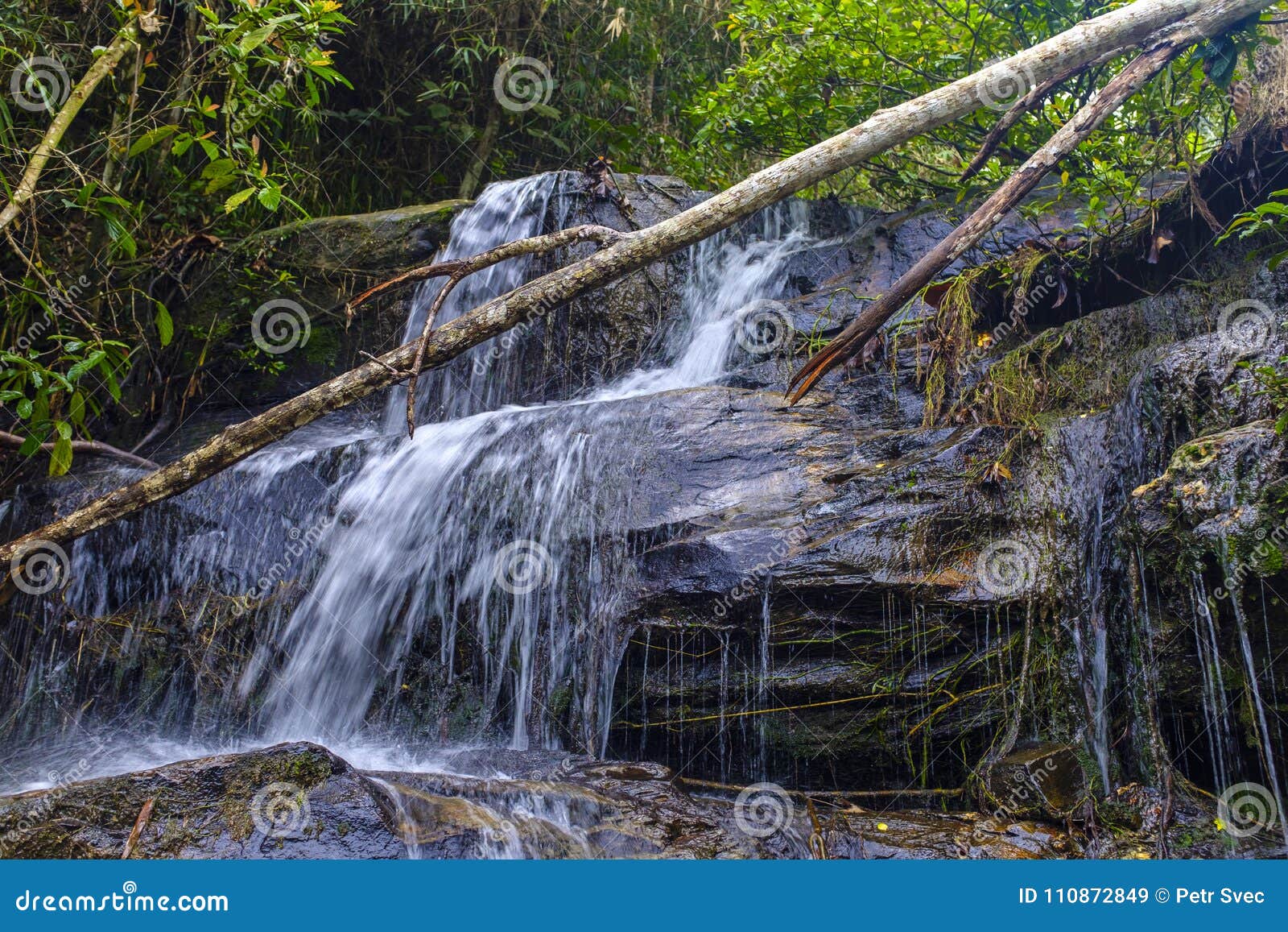 Small Waterfall in a Forest Stock Image - Image of detail, waterfall ...