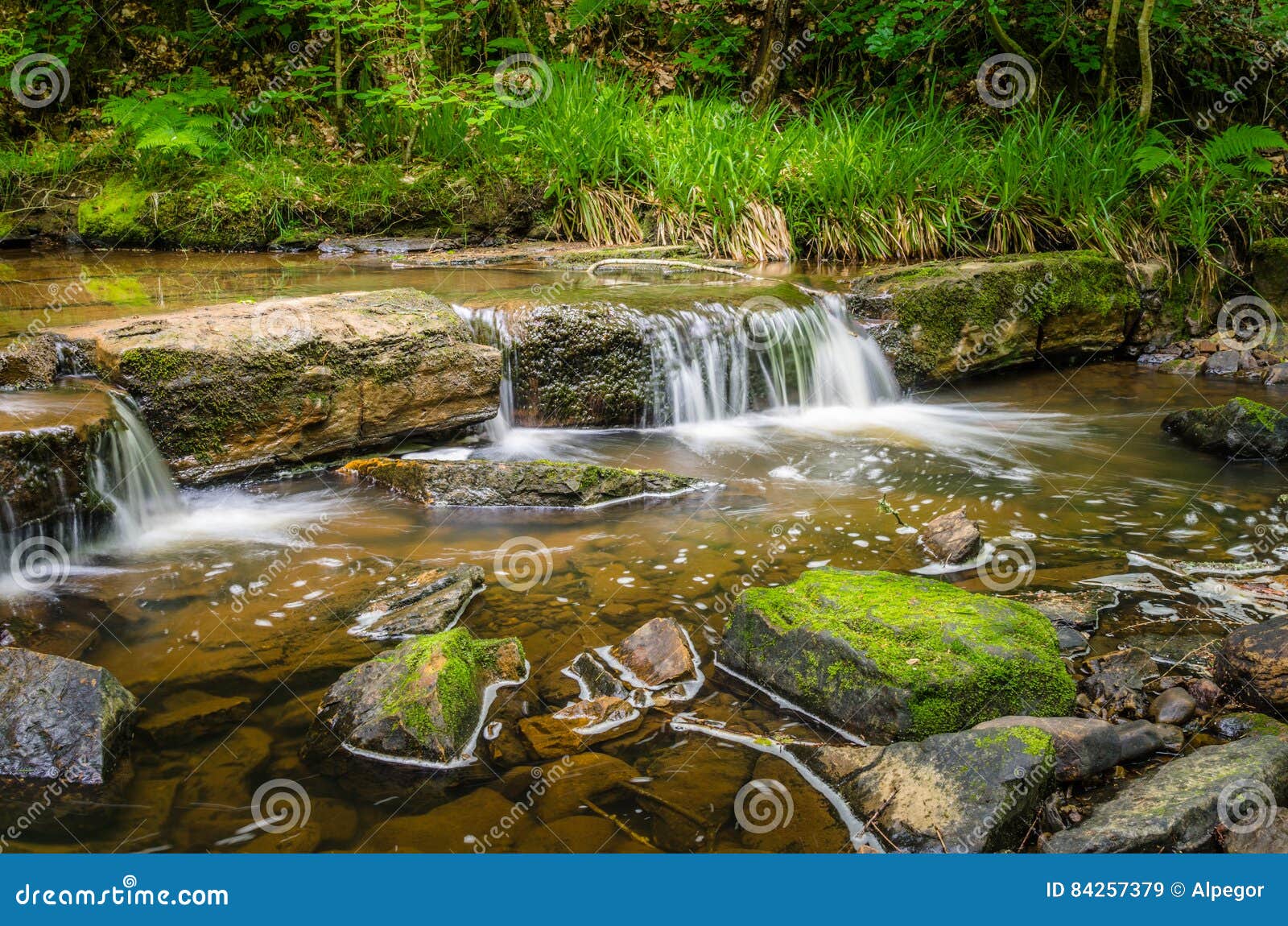 Small Waterfall in a Forest Stock Image - Image of countryside, remote ...