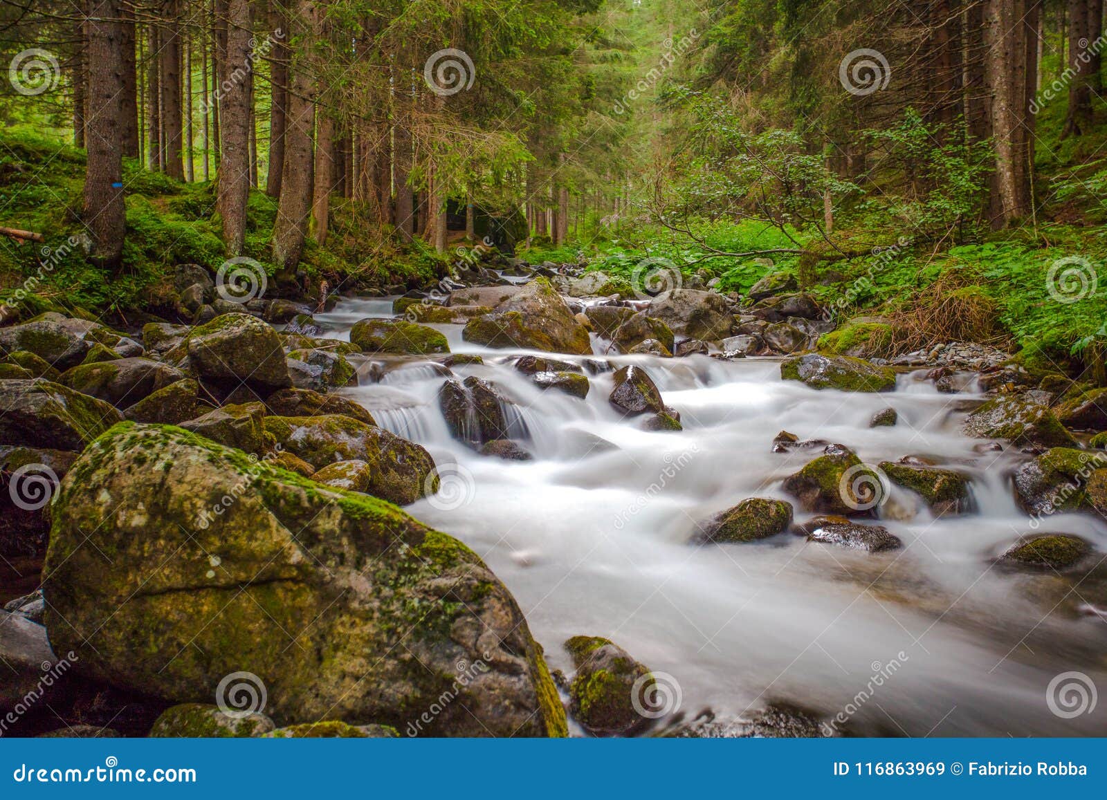 Small Waterfall in a Forest River with Silky Water Around the Rocks in ...