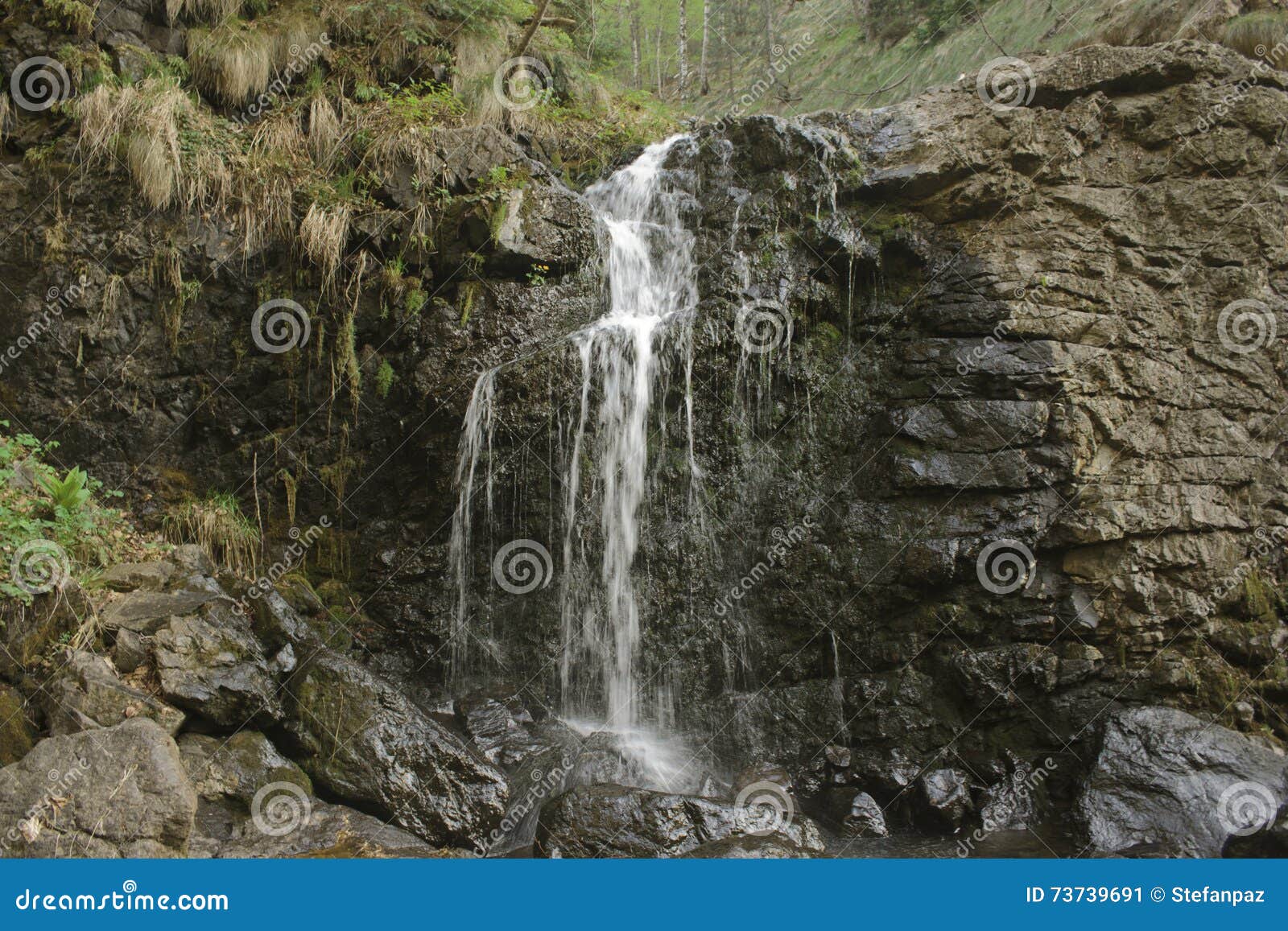Small Waterfall in the Forest Stock Image - Image of fall, blur: 73739691