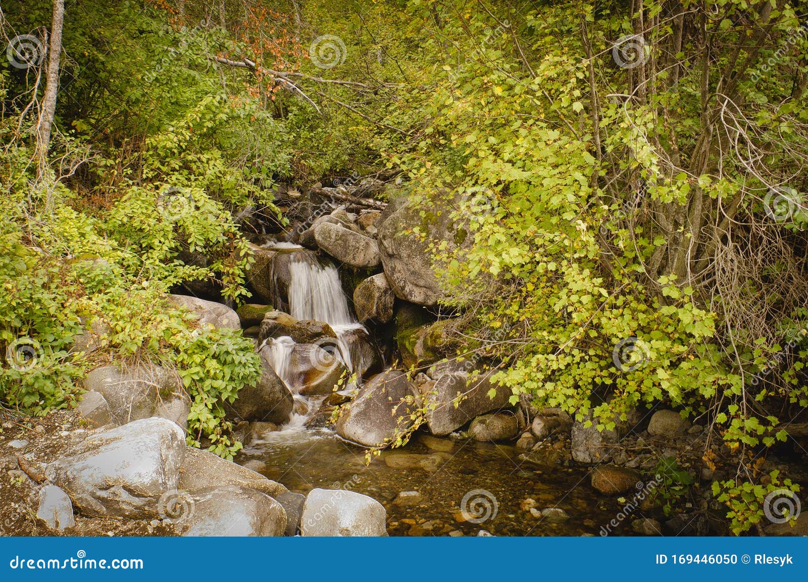 Small Waterfall in the Forest Stock Photo - Image of leaves, clean ...