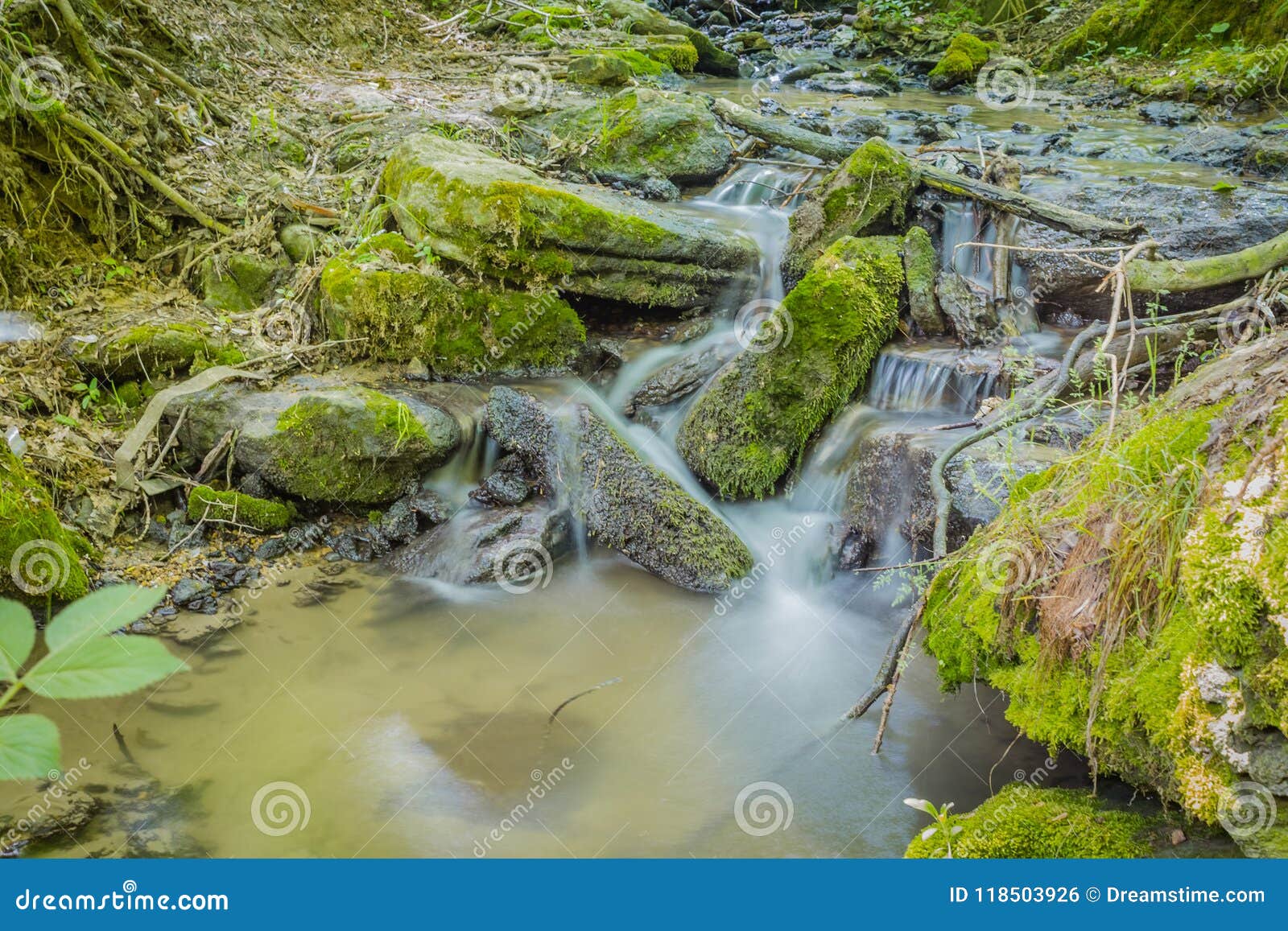 Small Waterfall in the Forest Stock Photo - Image of waterfall, nature ...