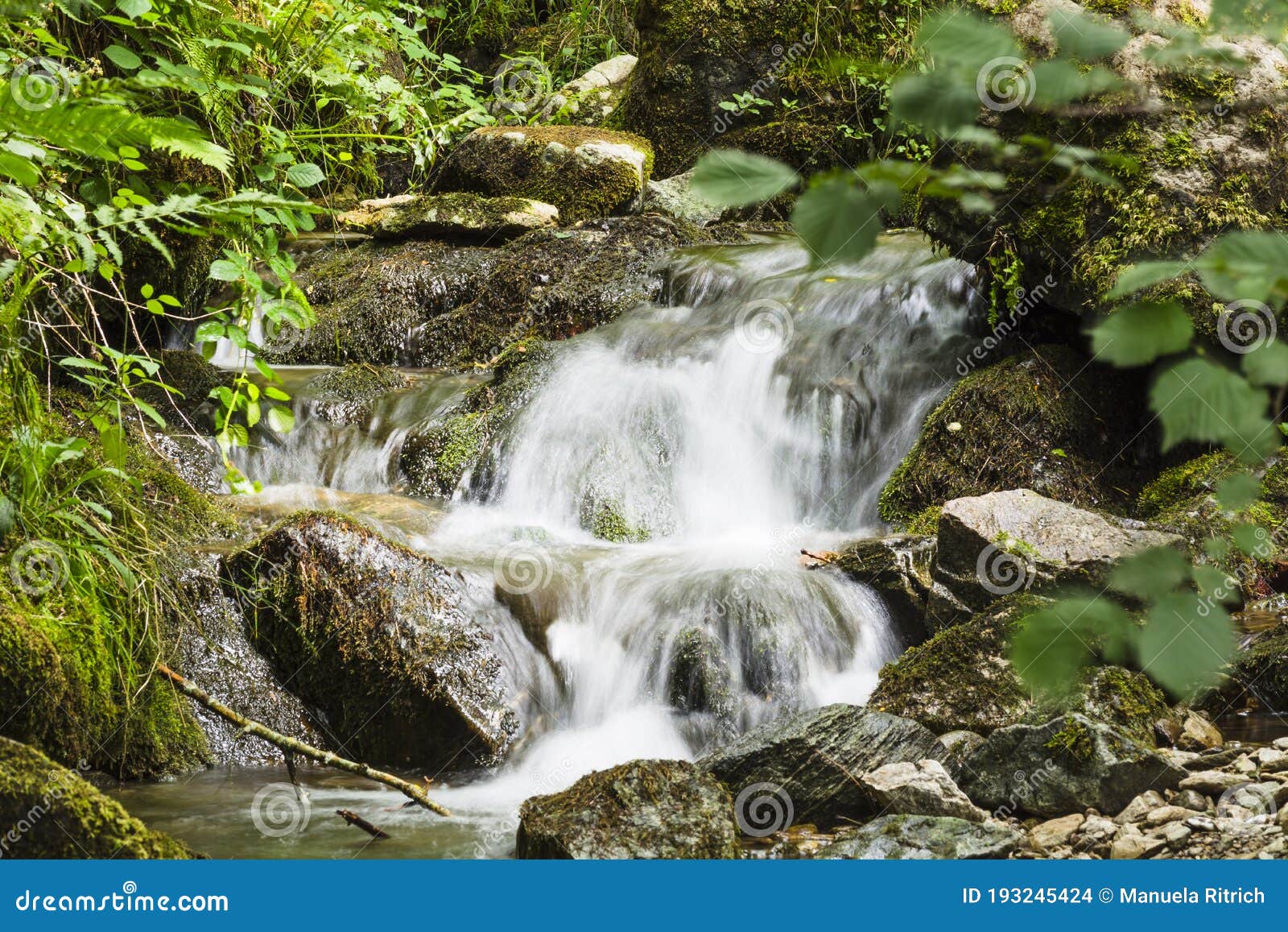 Small Waterfall in the Forest Stock Photo - Image of moss, clean: 193245424