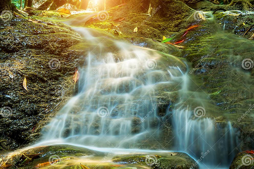 Small Waterfall in the Forest Stock Image - Image of fall, line: 282301493