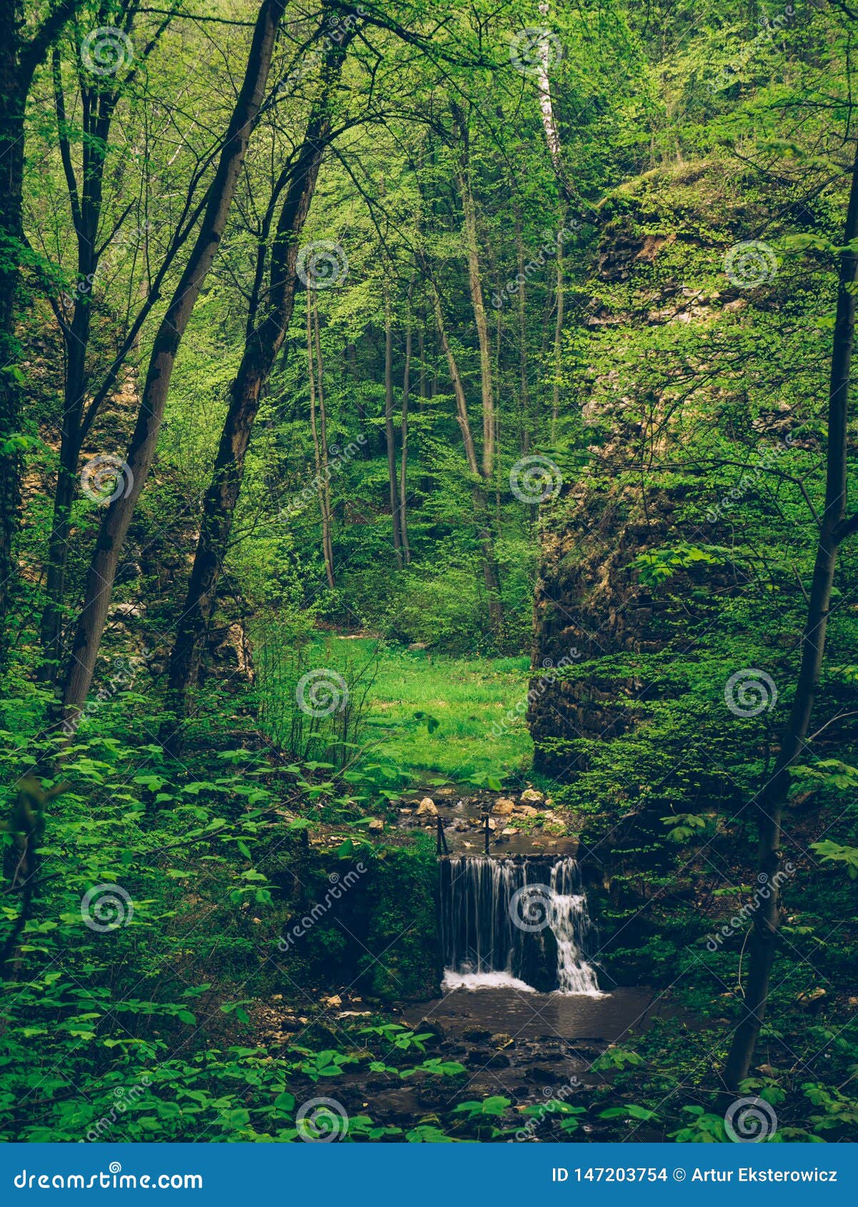 Small Waterfall in the Forest, Stream in the Forest Stock Photo - Image ...
