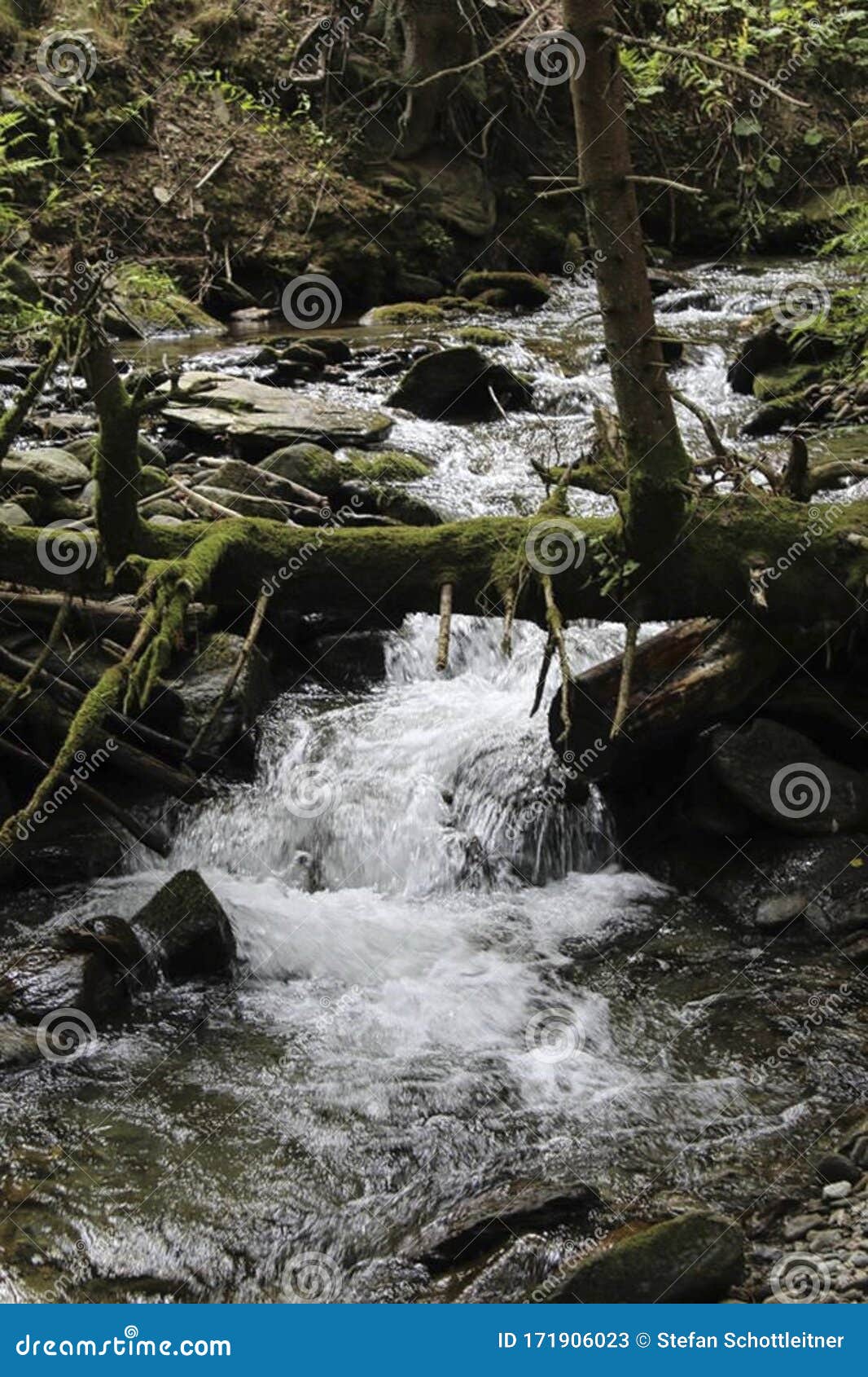 A Small Waterfall in the Forest Stock Image - Image of landforms, plant ...