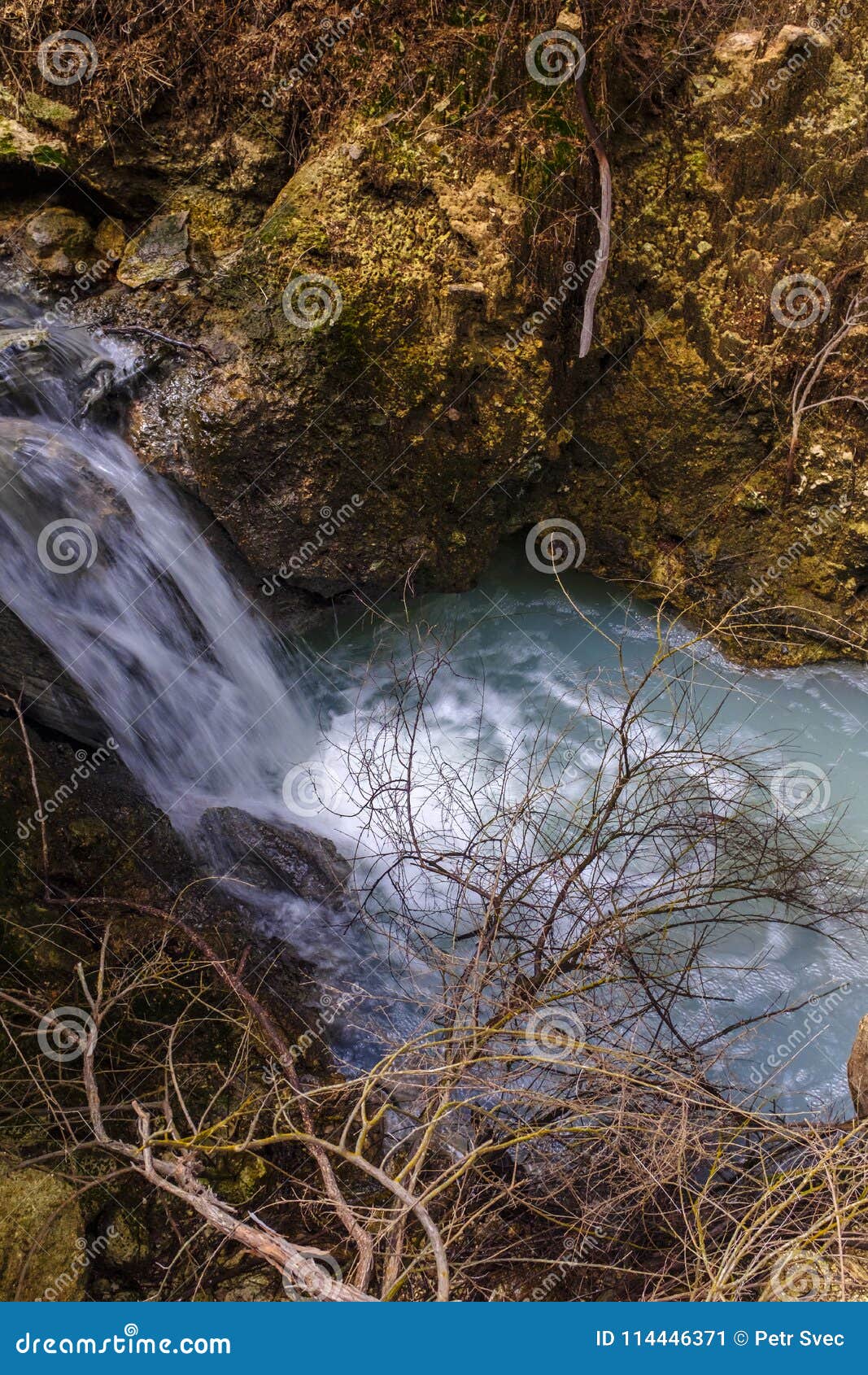 Small Waterfall in a Forest Stock Image - Image of wood, tree: 114446371