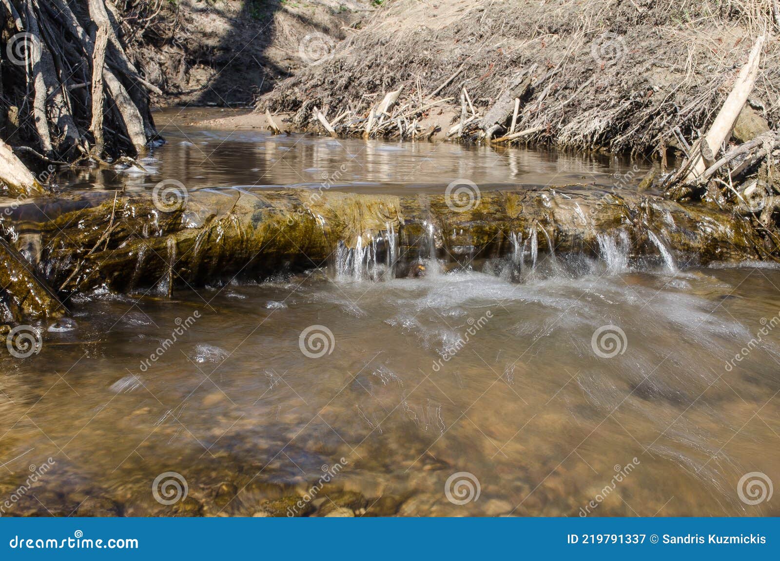 A Small Waterfall Formed from a Fallen Tree Stock Image - Image of ...