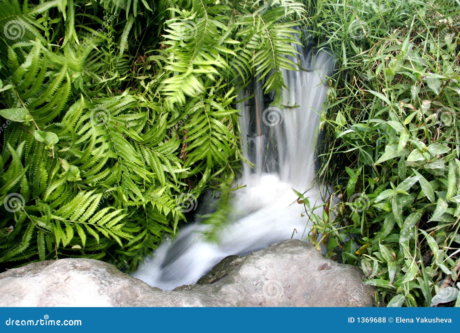 Small waterfall in grass stock photo. Image of peaceful - 1369688