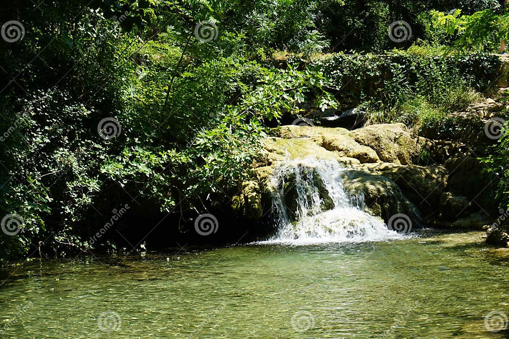 Small Waterfall in a Green Forest Stock Image - Image of natural ...