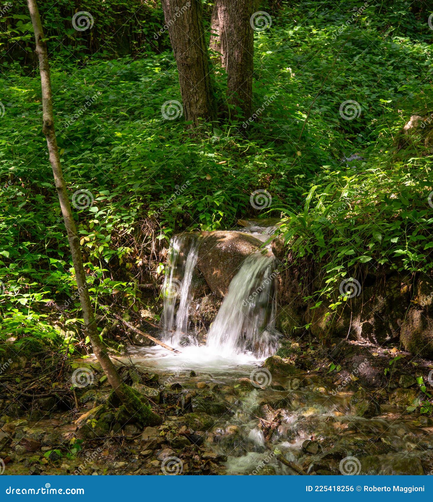 Small Waterfall in a Green Forest Stock Photo - Image of waterfall ...
