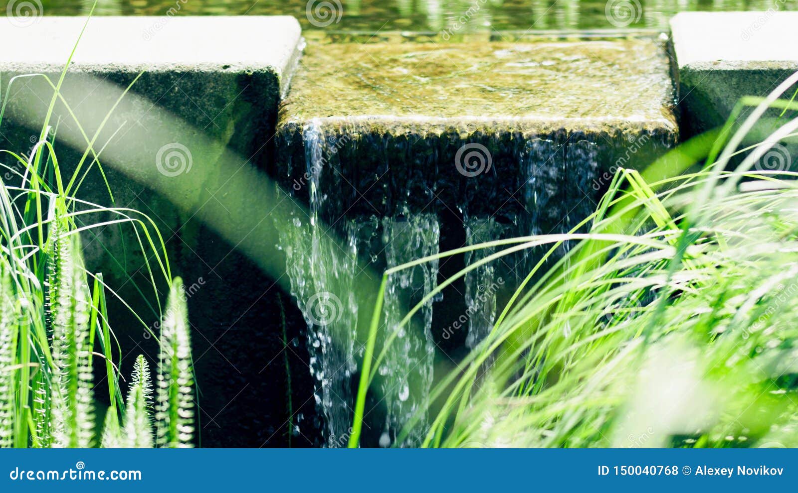 Small Waterfall and Green Grass in the Park, Close-up Shot Stock Photo ...