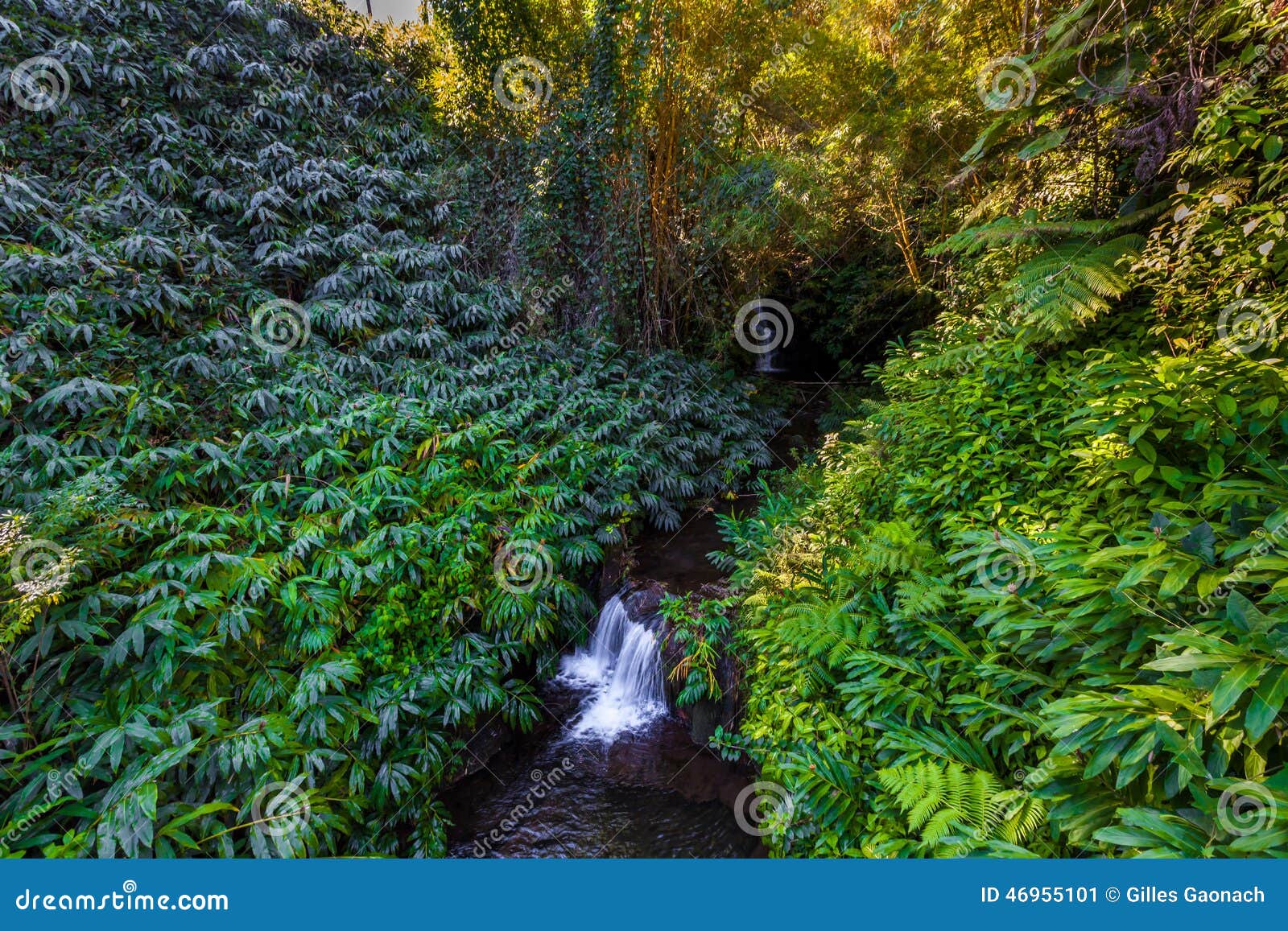 Small Waterfall with Greenery Stock Image - Image of plants, green ...