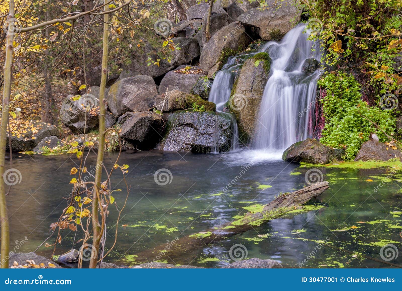 Small Waterfall Hidden in Forest Stock Image - Image of green, forest ...