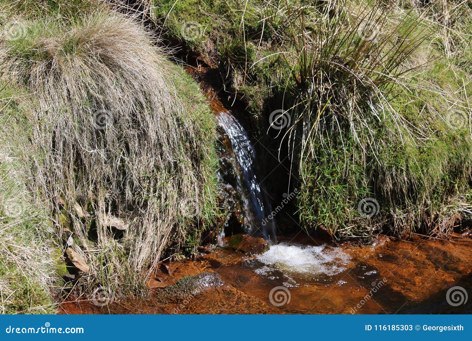 Small Waterfall on Hillside Stream Stock Image - Image of waterfall ...