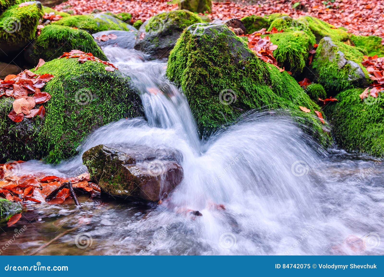 Small Waterfall I the Forest Stock Image - Image of mountain, clean ...