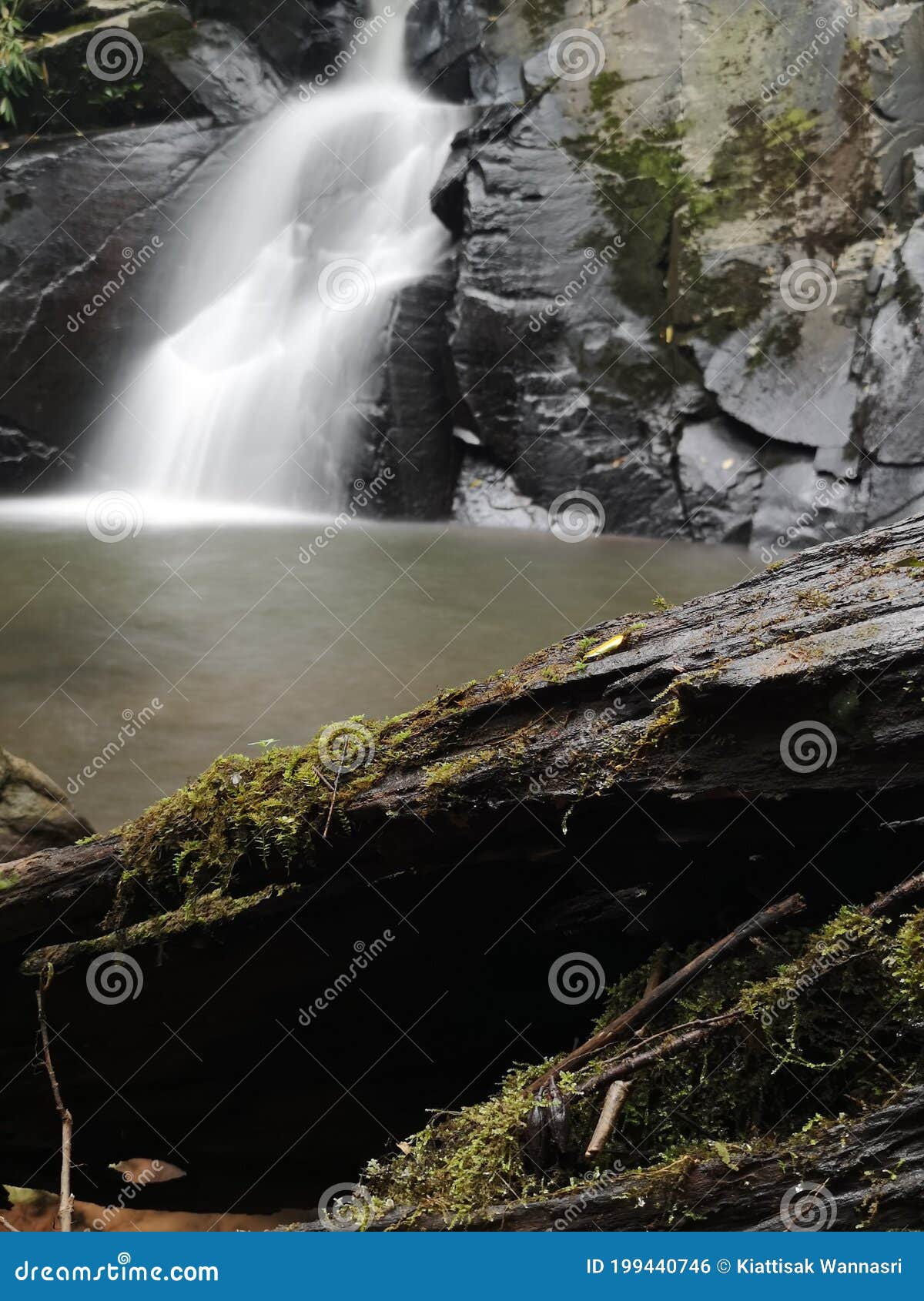 Small Waterfall Inâ€‹ the Forest Stock Photo - Image of reflection ...
