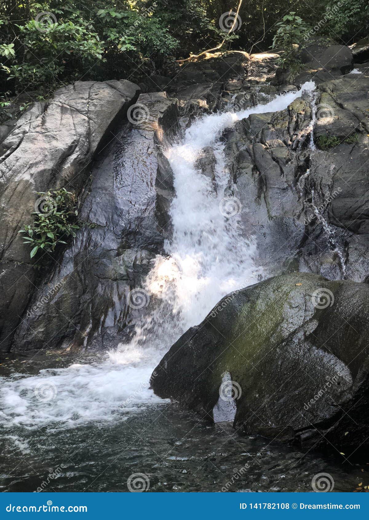 A Small Waterfall in the Jungle among the Vegetation and Rocks Passing ...