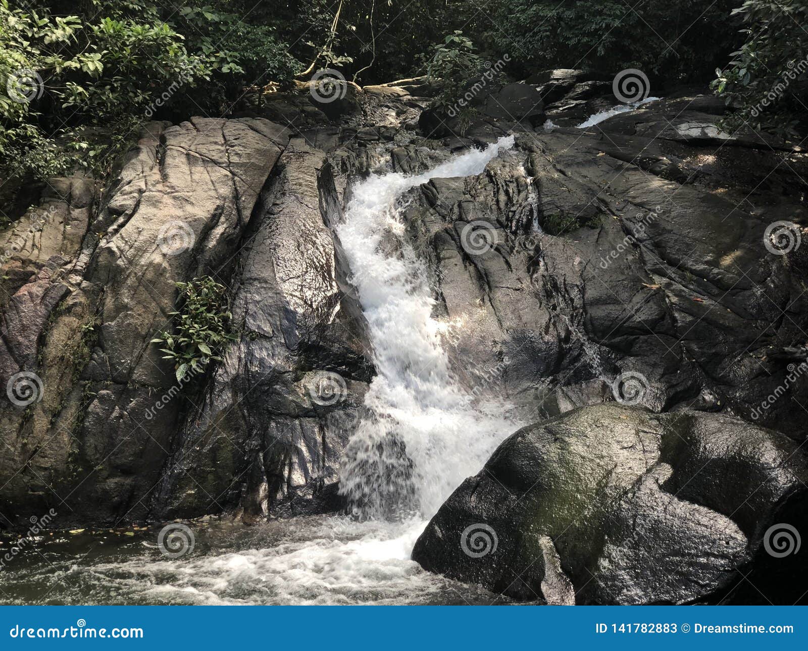 A Small Waterfall in the Jungle among the Vegetation and Rocks Passing ...