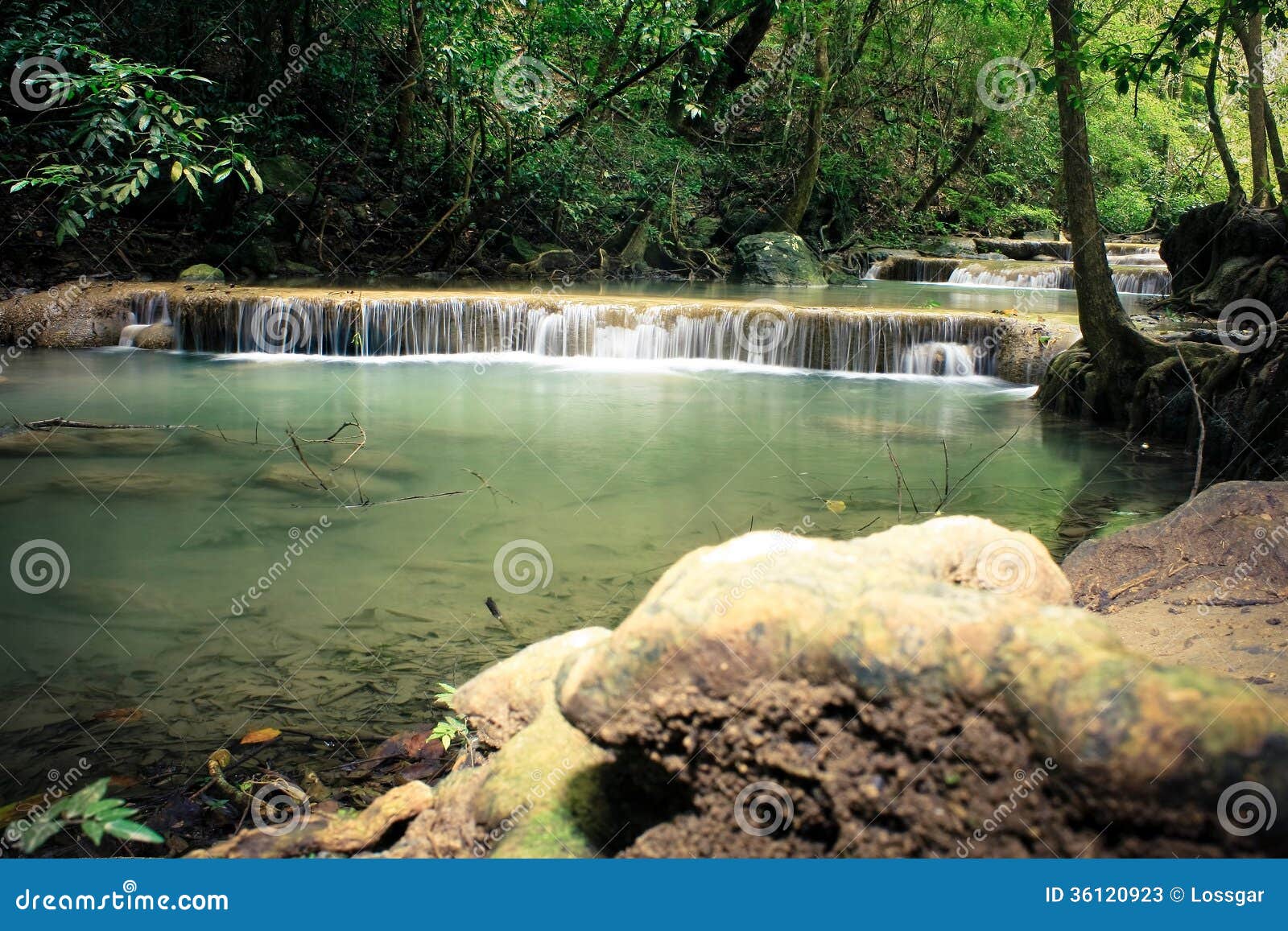 A Small Waterfall in the Jungle Stock Image - Image of summer, nature ...