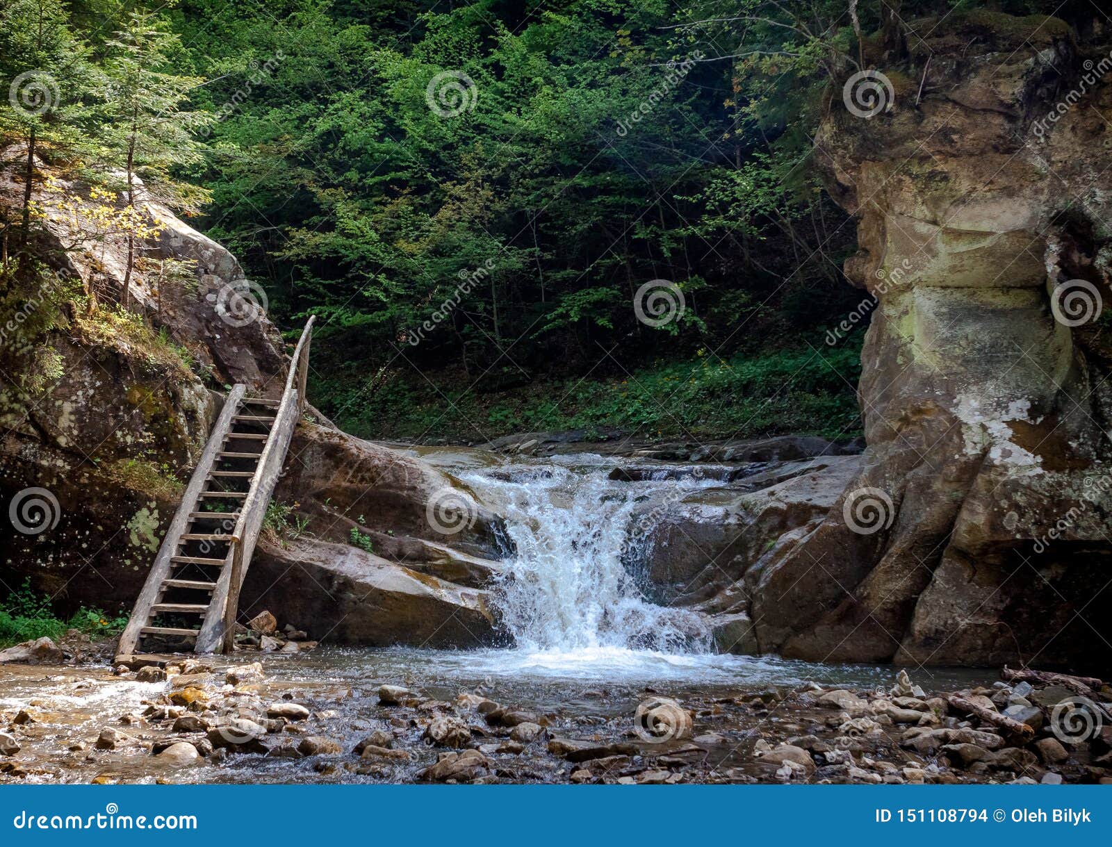 Small Waterfall and Ladder between Rocks in a Mountain Forest Stock ...