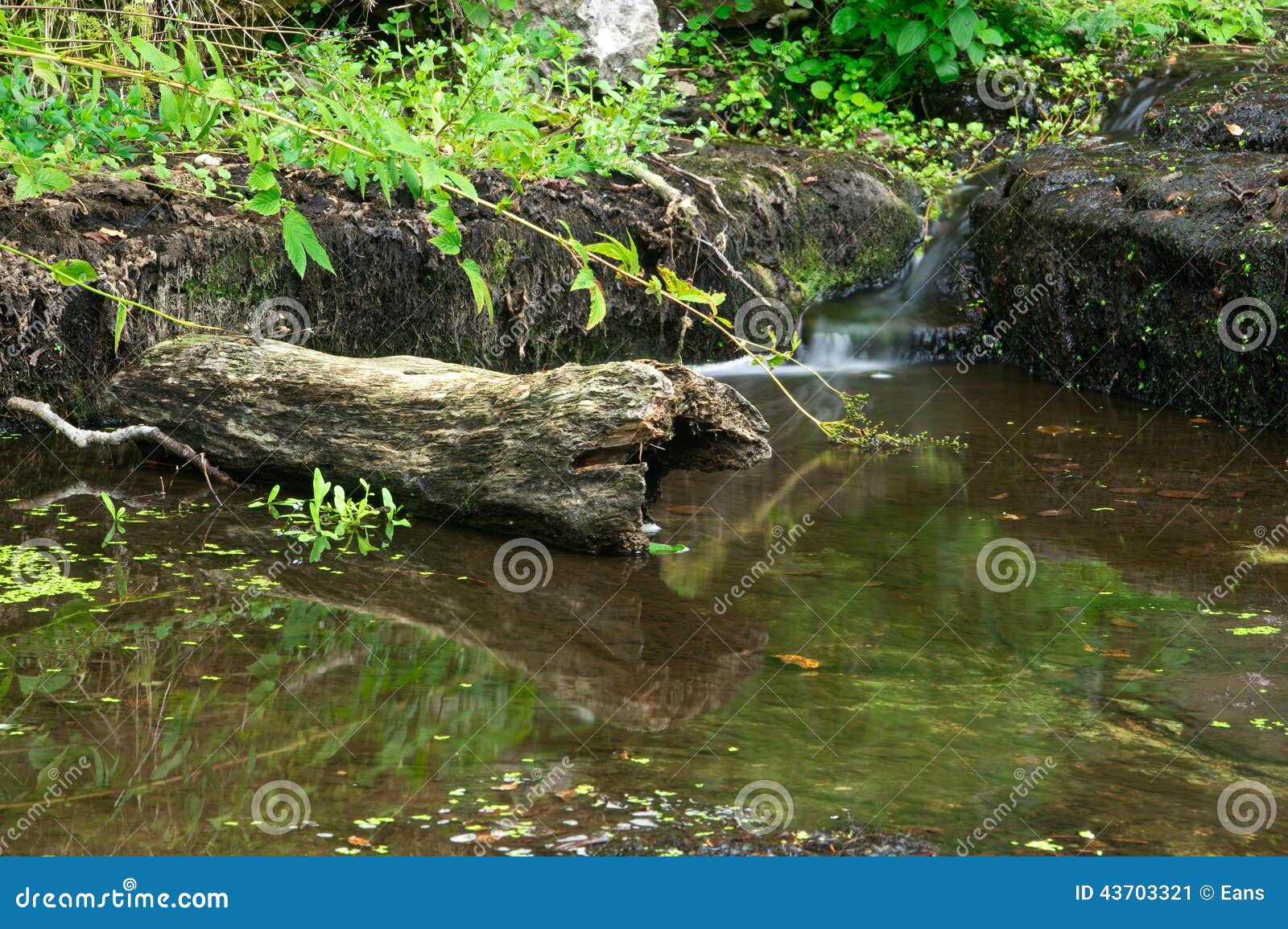 Small waterfall and log stock image. Image of waterfall - 43703321