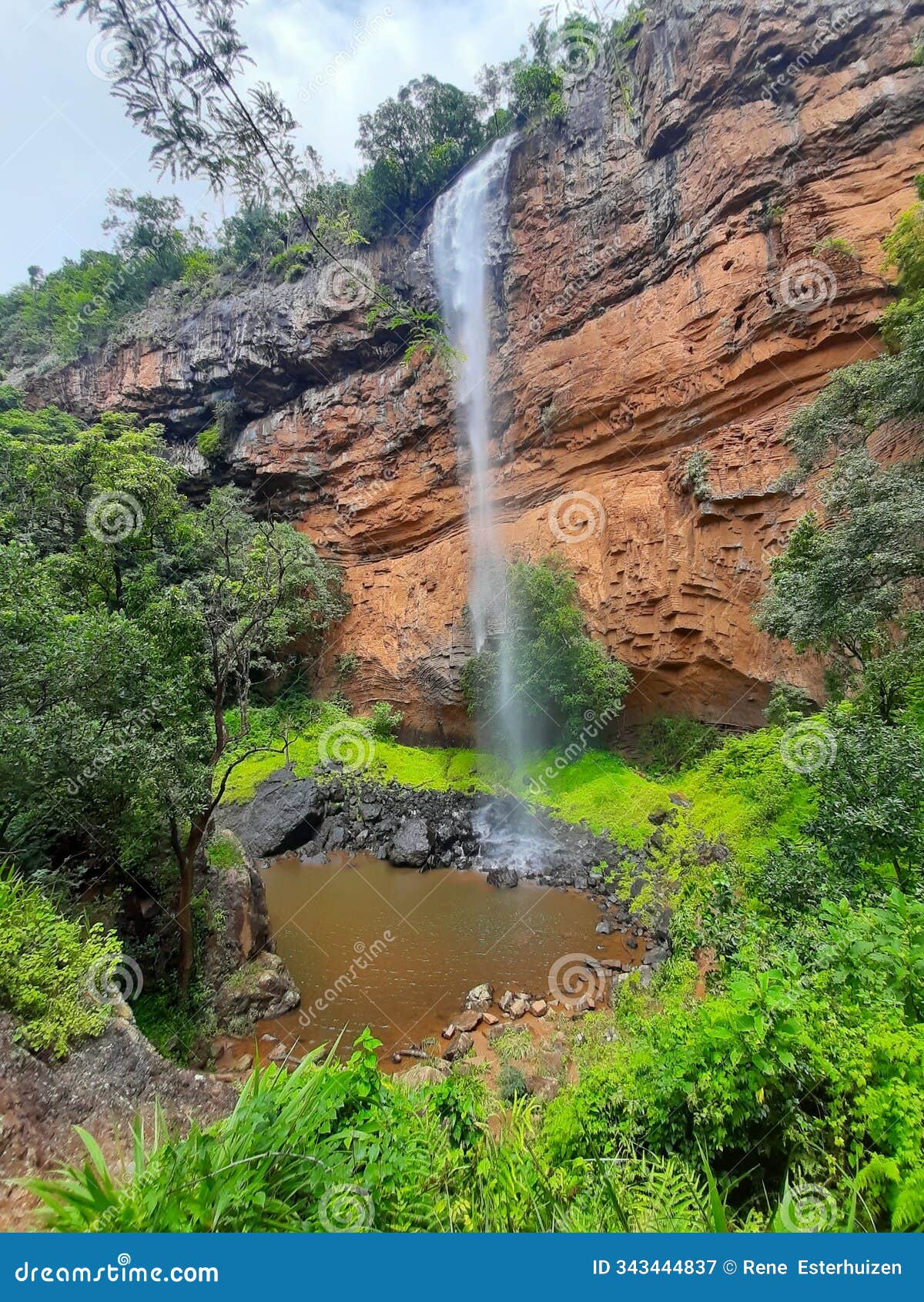 Small Waterfall with Luscious Green Grass and Plants. Stock Image ...