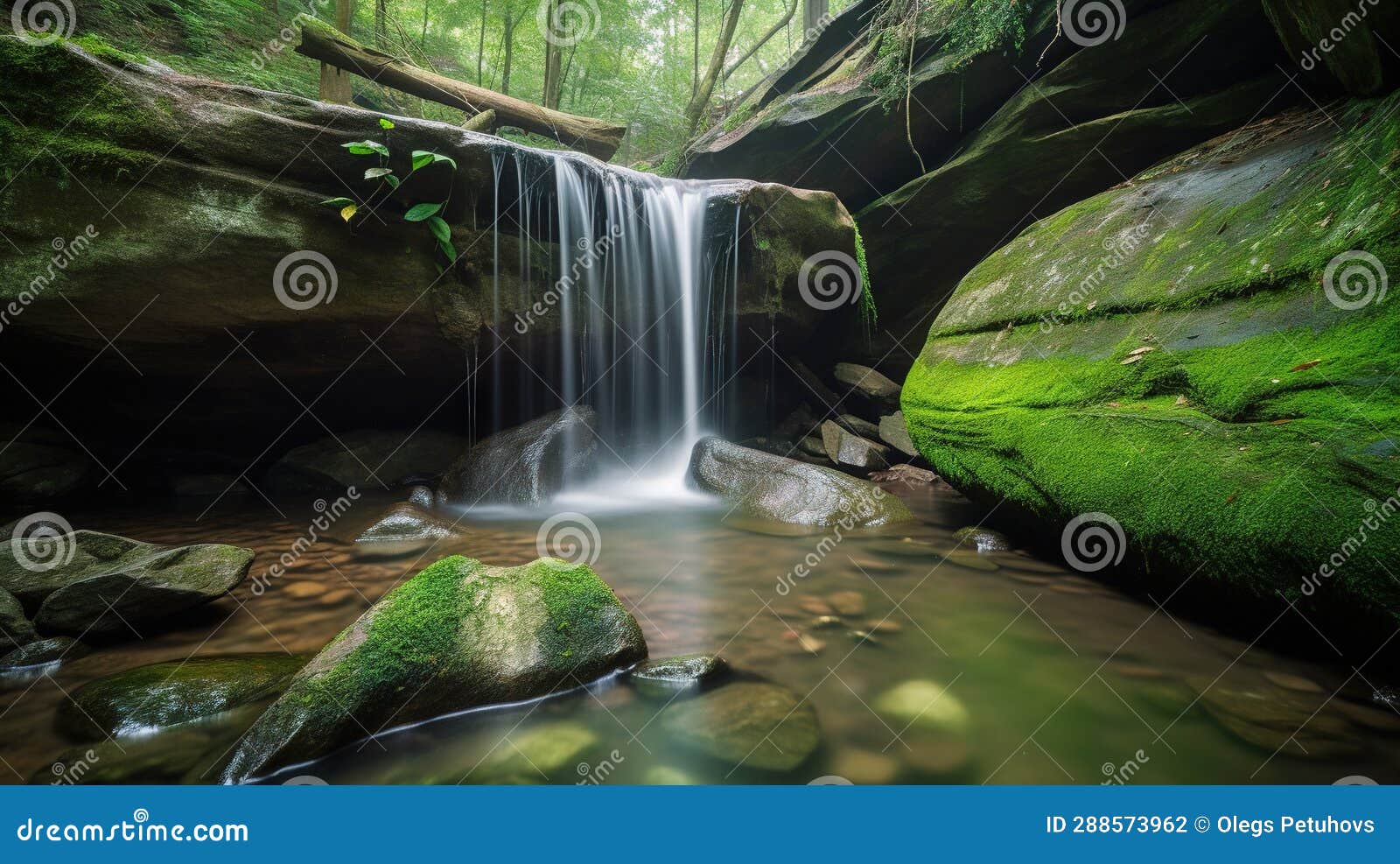 A Small Waterfall in the Middle of a Forest Filled with Rocks Stock ...