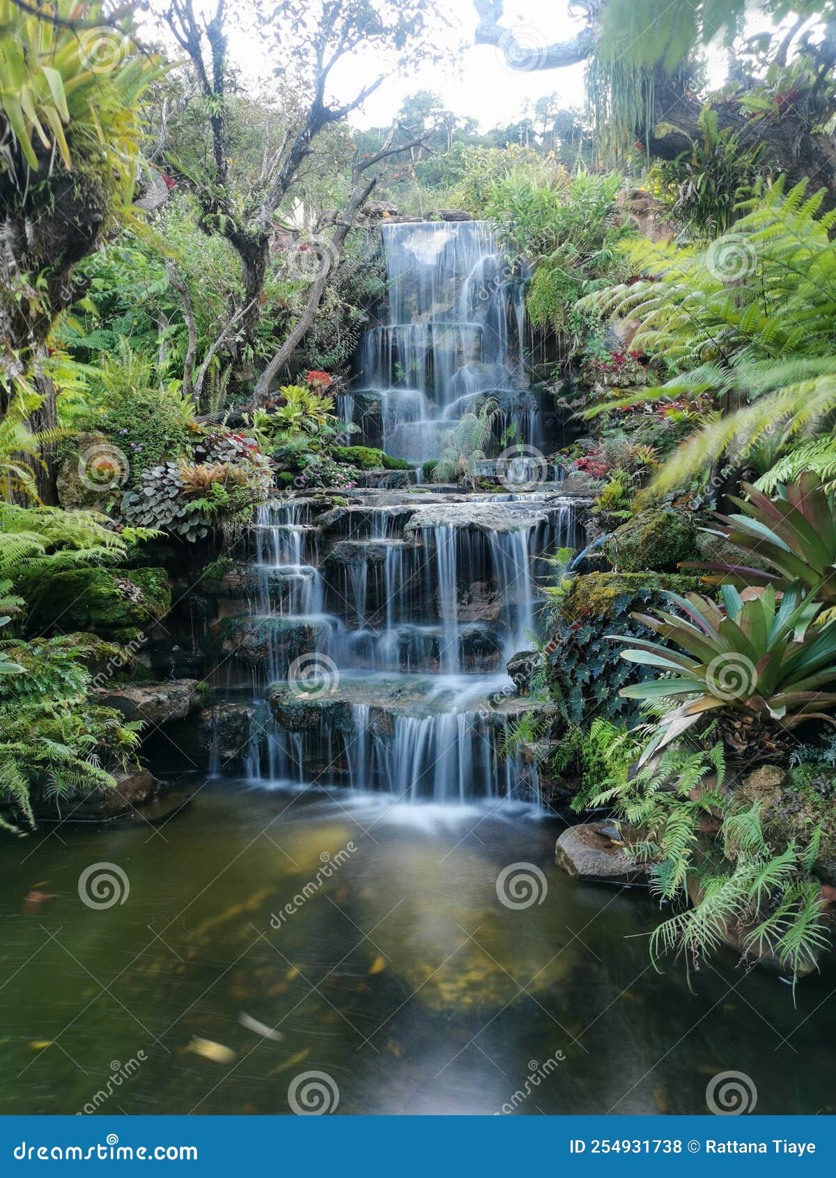 Waterfall Model Flowchart Hand Drawing On Blackboard Stock Photography ...