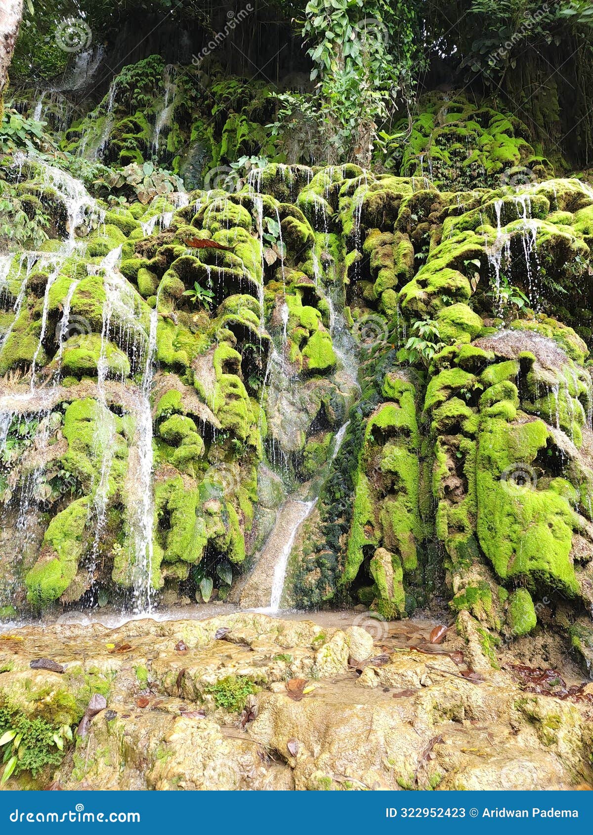 Small Waterfall between Moss Rocks Stock Image - Image of nature, moss ...