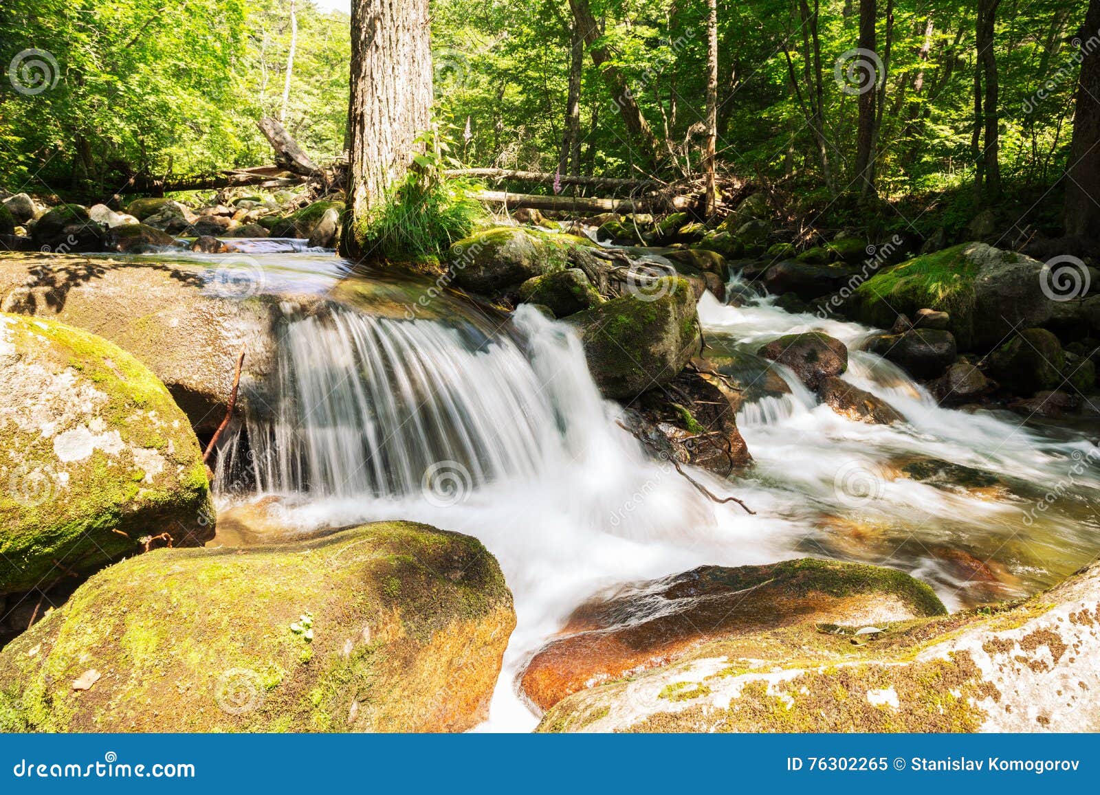 Small Waterfall on a Mountain River in Summer Stock Image - Image of ...