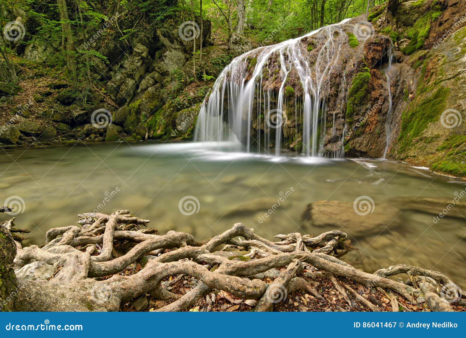 A Small Waterfall on Mountain Stream, Beautiful Roots in the Foreground ...