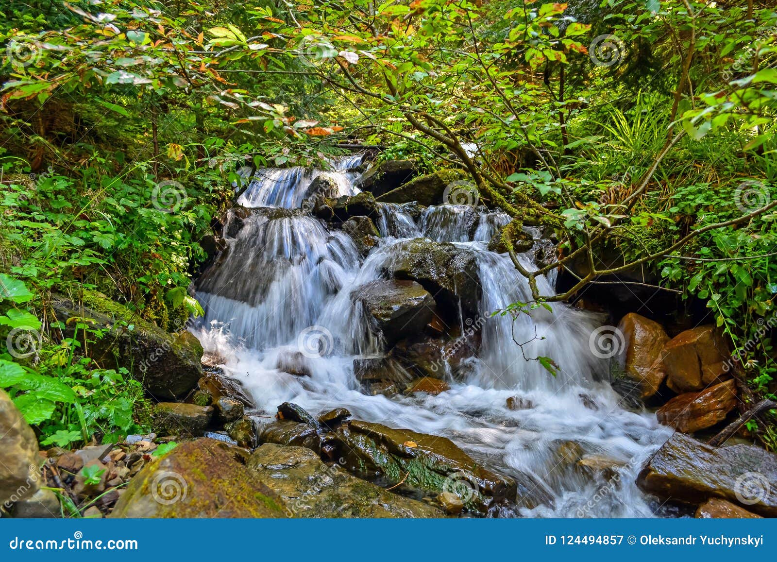 A Small Waterfall of a Mountain Stream in the Forest Stock Image ...
