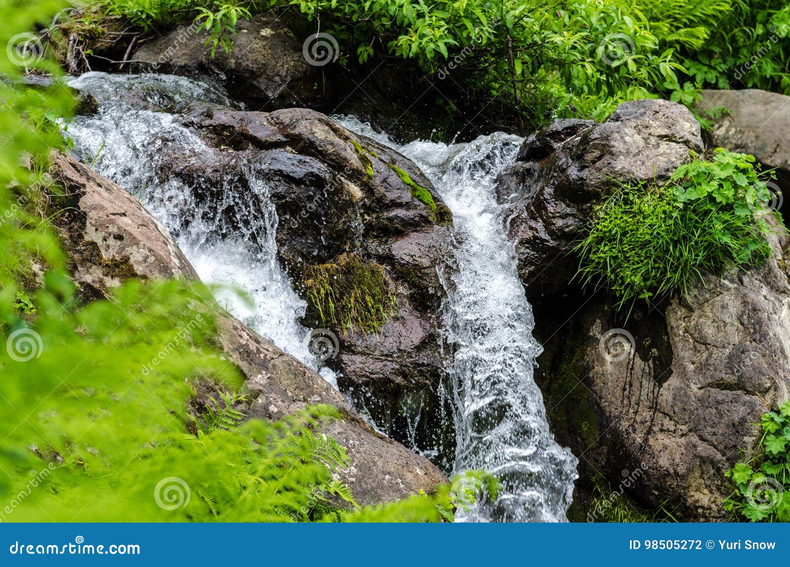 Small Waterfall Mountain Stream Stock Photo - Image of beauty, great ...