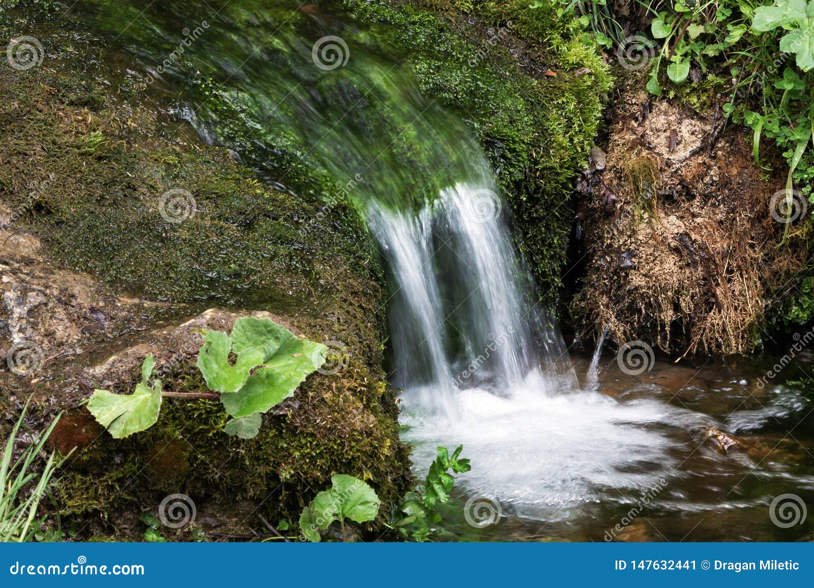 A Small Waterfall in a Natural Creek Stock Image - Image of outdoors ...