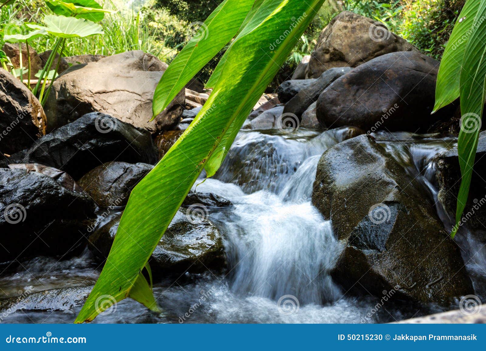 Small Waterfall with Natural Light. Stock Photo - Image of light ...