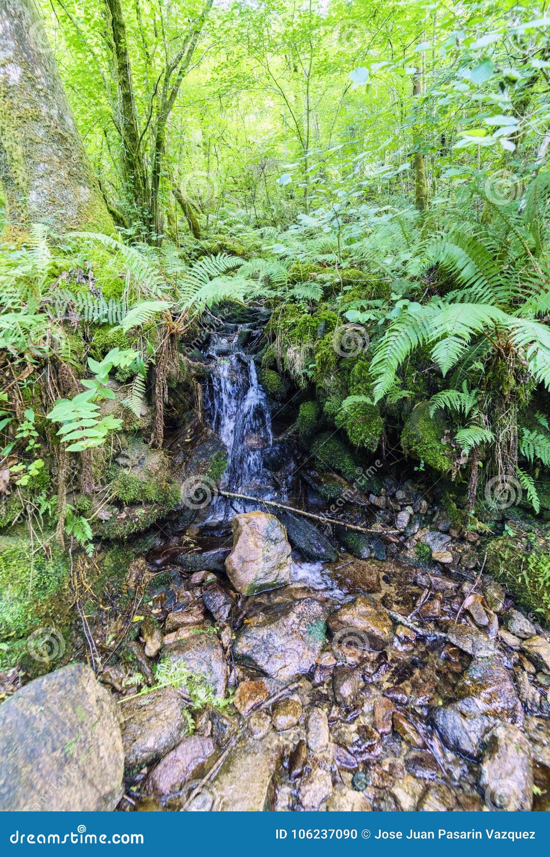 Small Waterfall of a Natural Spring with Soil Covered with Stone Stock ...