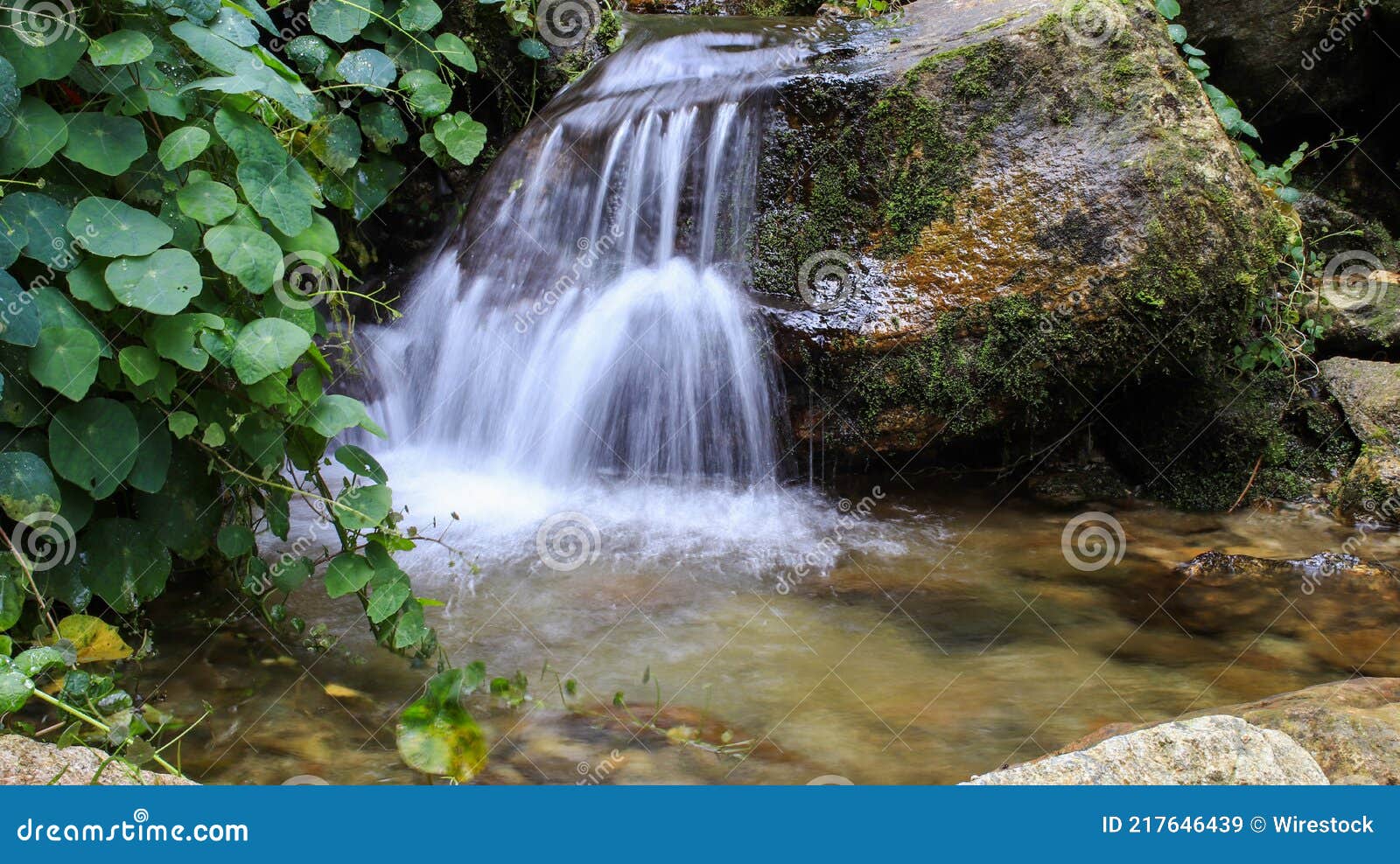 Small waterfall in nature stock image. Image of beautiful - 217646439