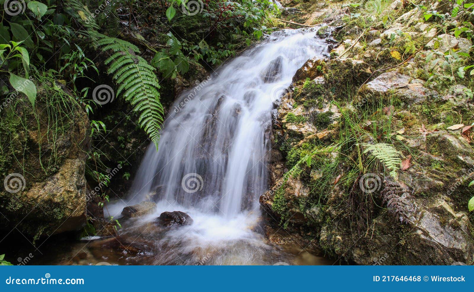 Small waterfall in nature stock photo. Image of nature - 217646468