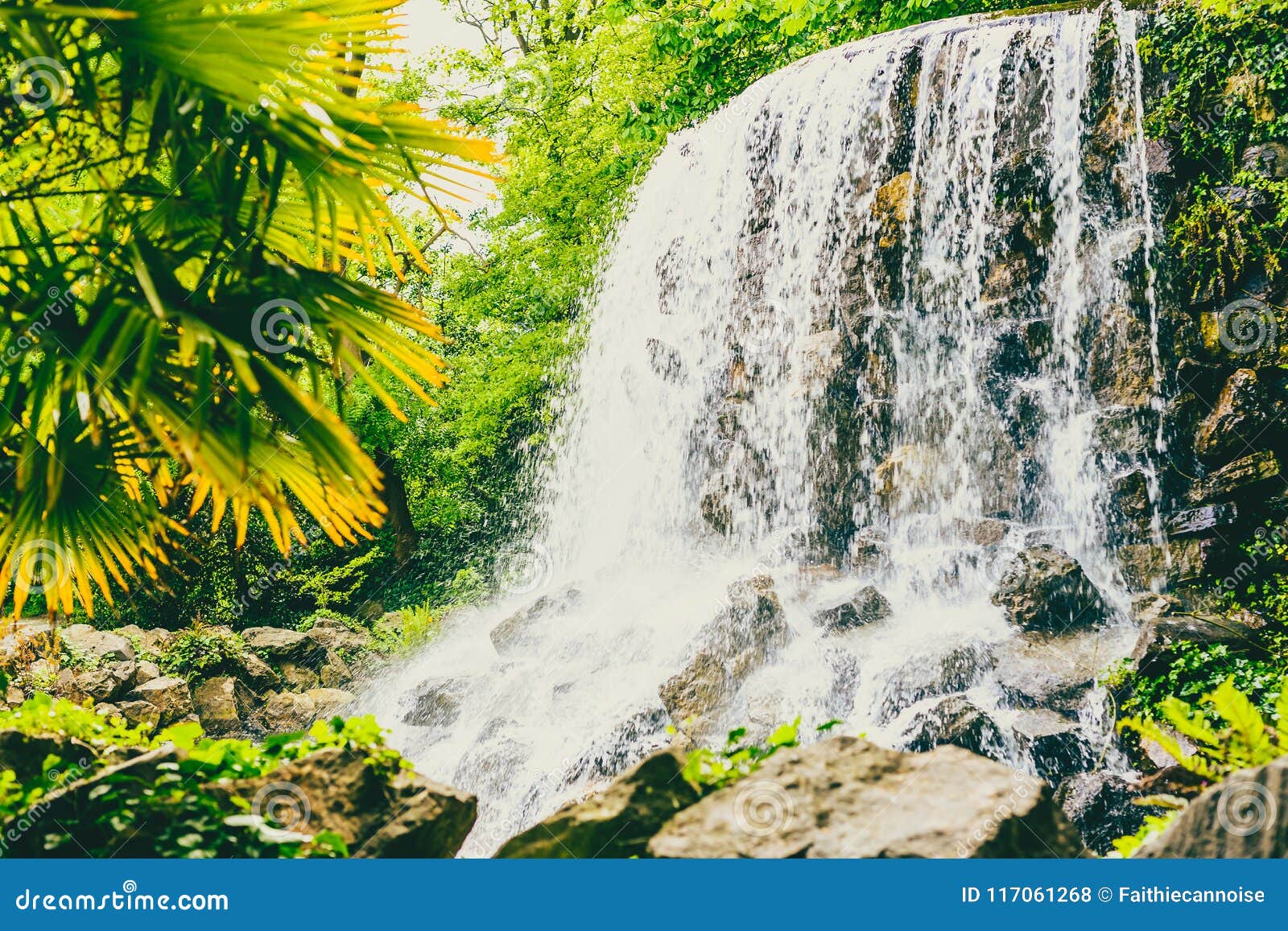 Small Waterfall with Palm Tree in Public Garden Stock Photo - Image of ...