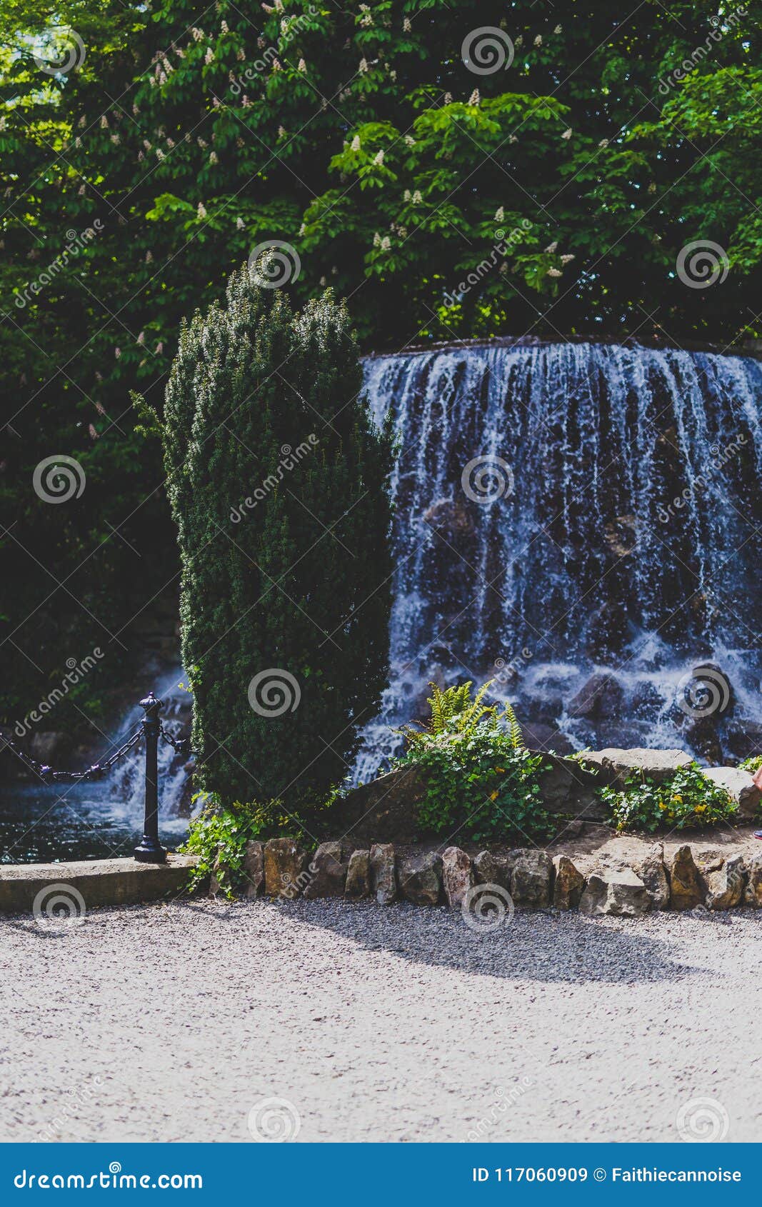 Small Waterfall with Palm Tree in Public Garden Stock Image - Image of ...