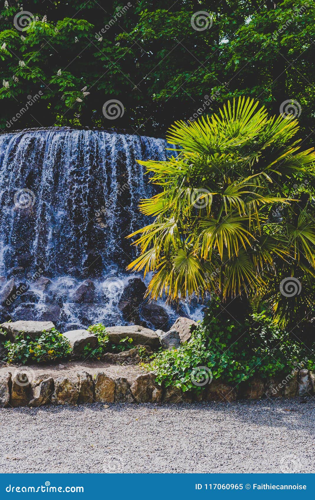 Small Waterfall with Palm Tree in Public Garden Stock Image - Image of ...