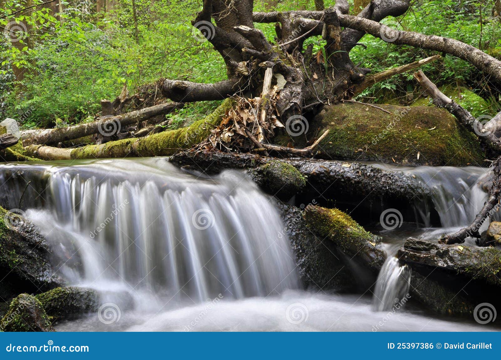 Small Waterfall on a Peaceful Mountain Spring Stock Photo - Image of ...