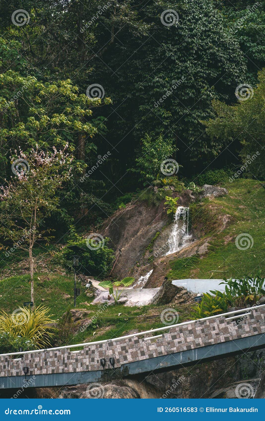 Small Waterfall with Plants in the Rainforest Jungle Stock Image ...