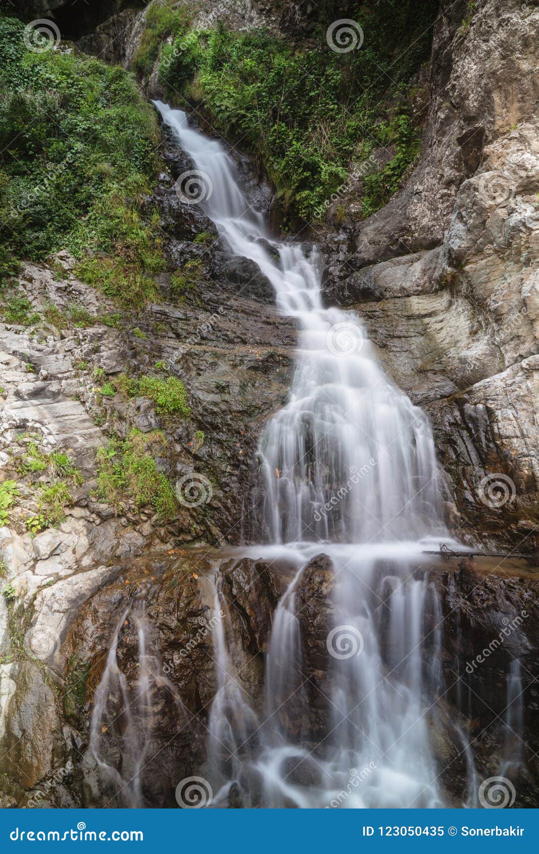 Small Waterfall with Plants and Rocks in Rize, Turkey Stock Image ...