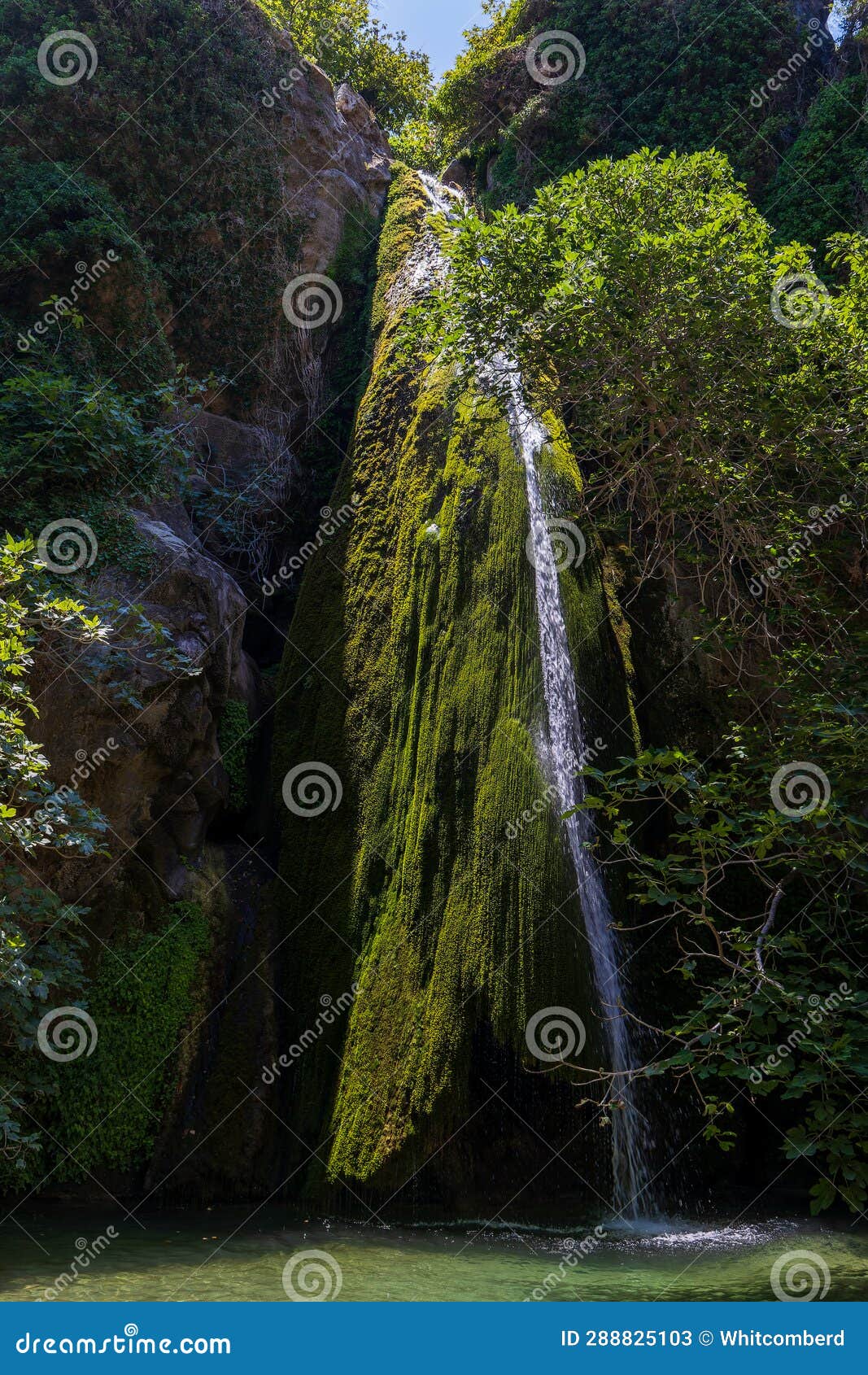 A Small Waterfall and Pool at the Bottom of a Large Gorge (Richtis ...