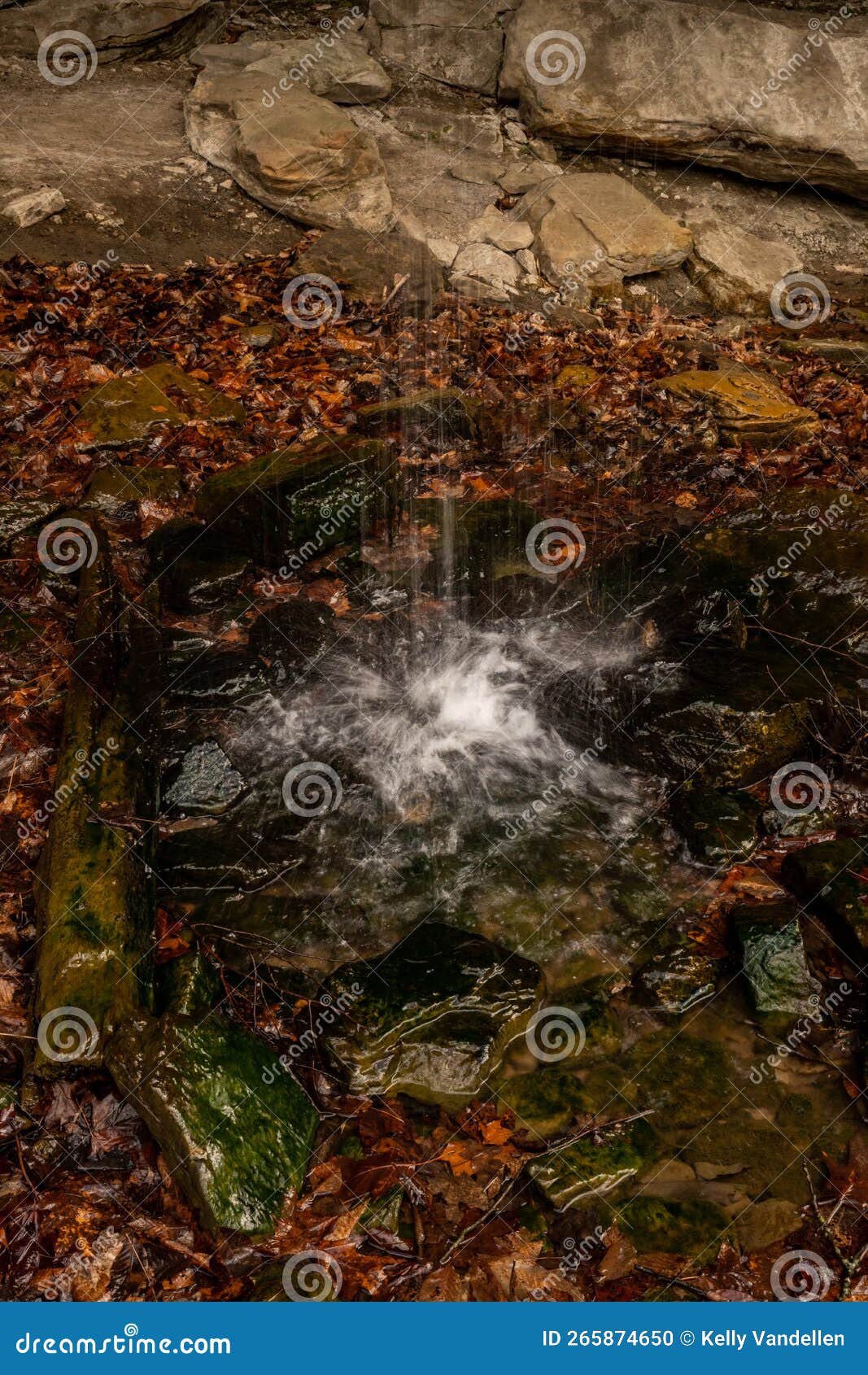 Small Waterfall Pool Covered in Fallen Leaves Stock Photo - Image of ...